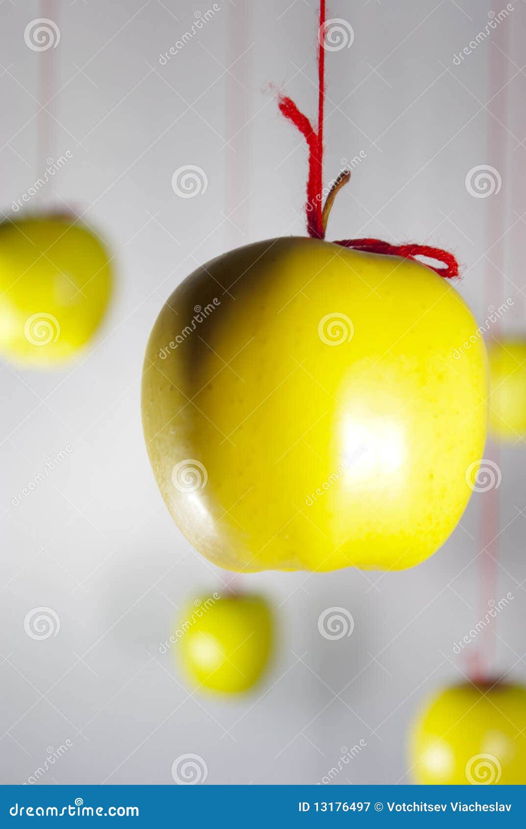Hanging apples stock image. Image of healthy, natural - 13176497