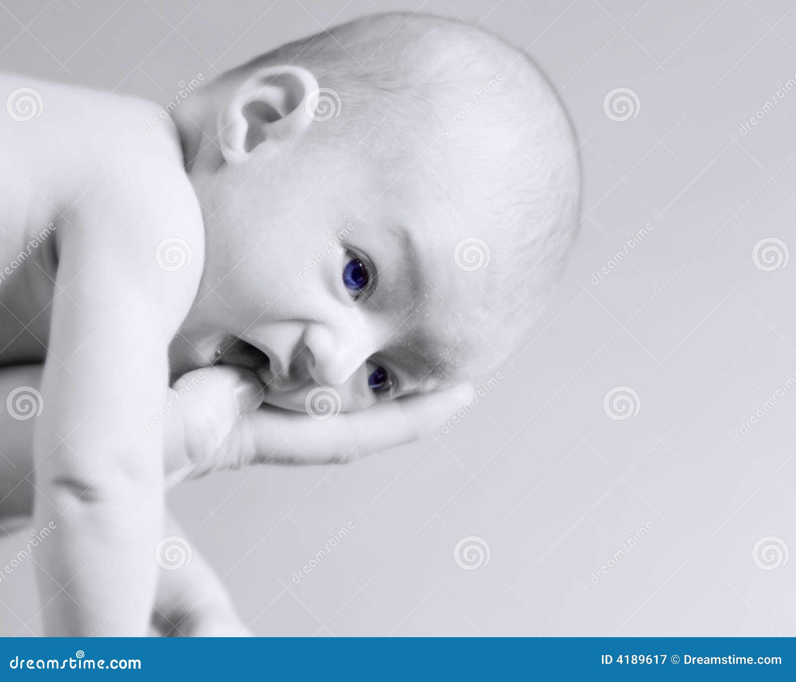 Hanging Baby stock image. Image of white, relax, beginnings - 4189617