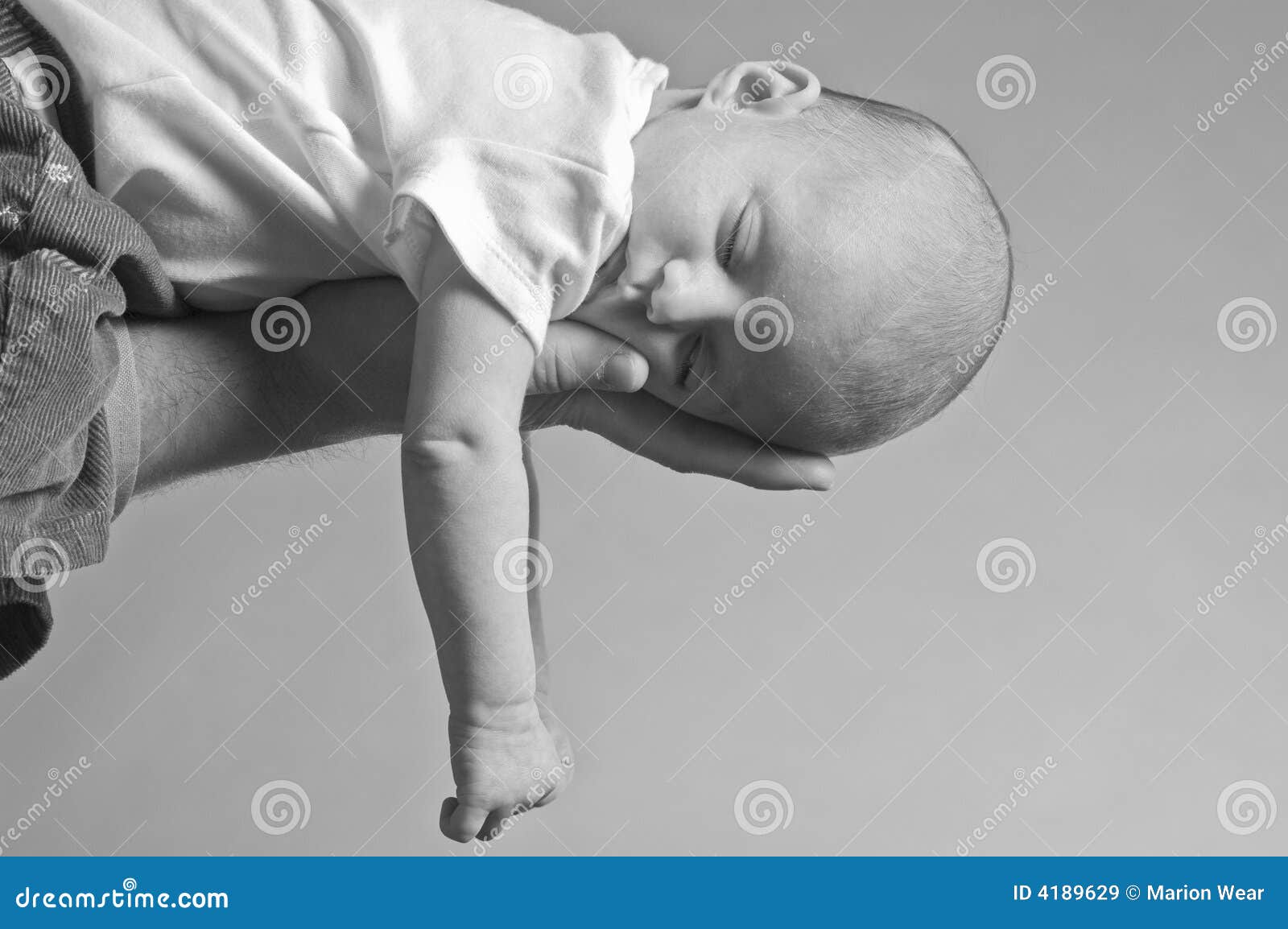 Hanging Baby stock image. Image of sleeping, resting, beginnings - 4189629