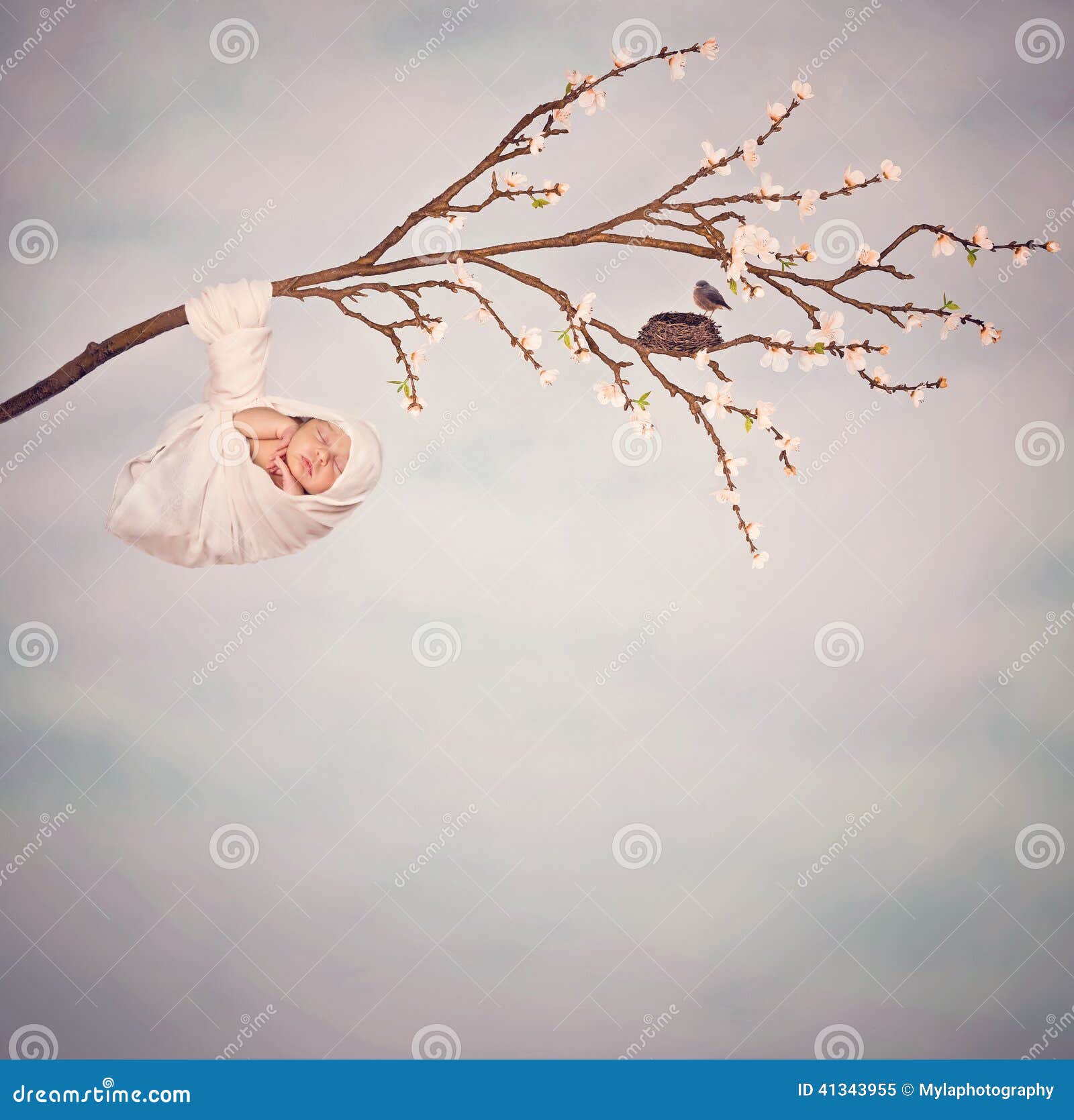 Hanging baby branch stock image. Image of flower, blosoms - 41343955