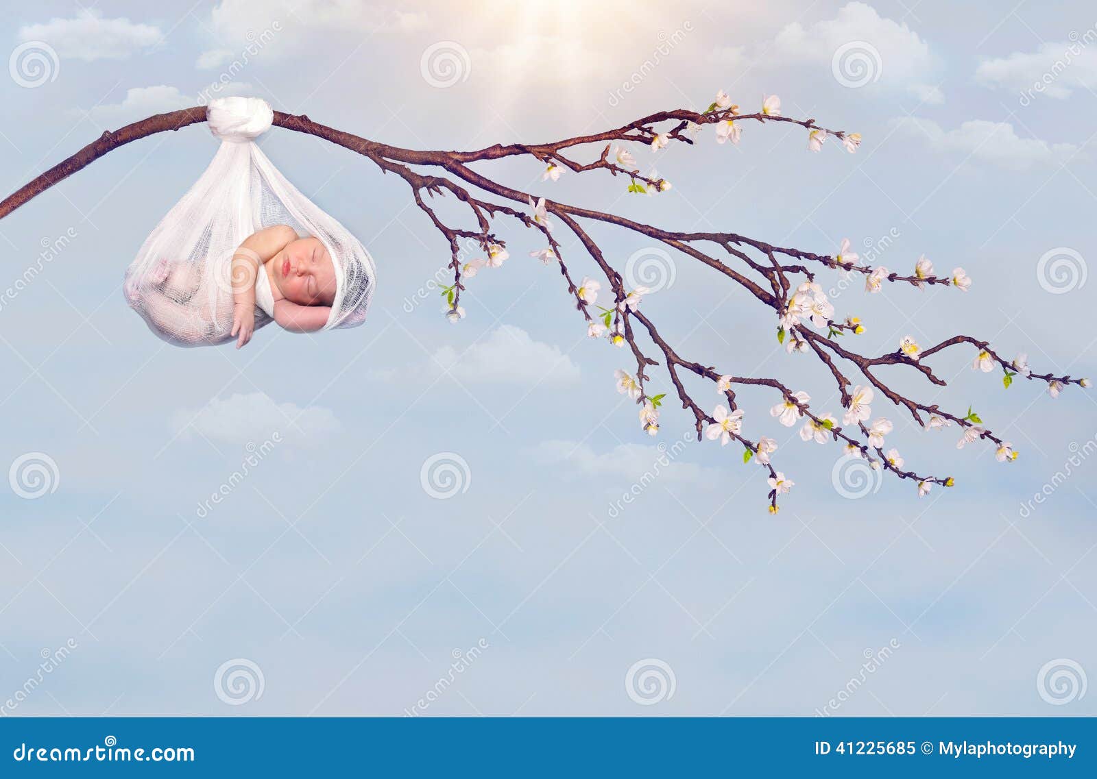 Hanging baby branch stock image. Image of cloudy, cheesecloth - 41225685