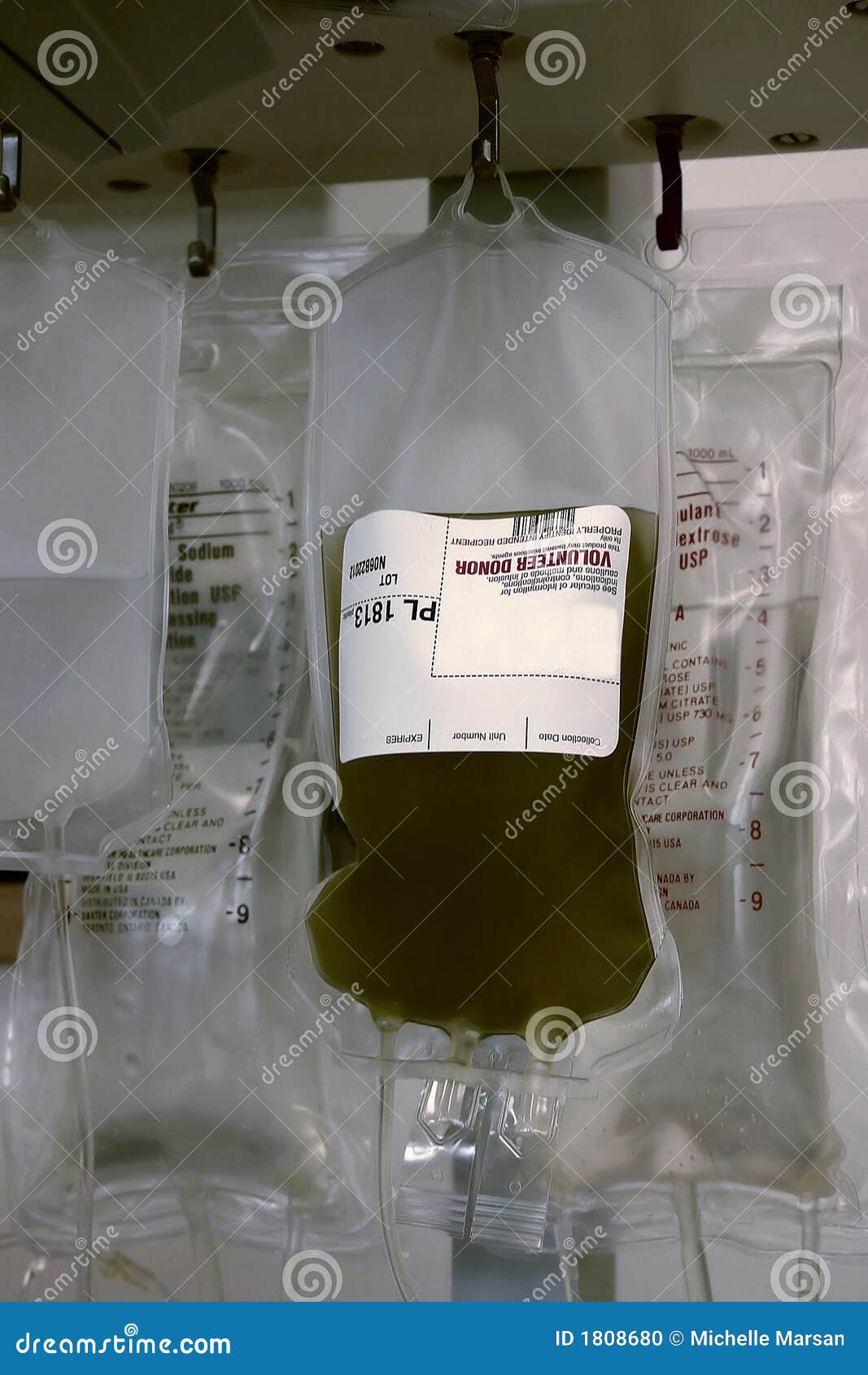 Platelets Bag