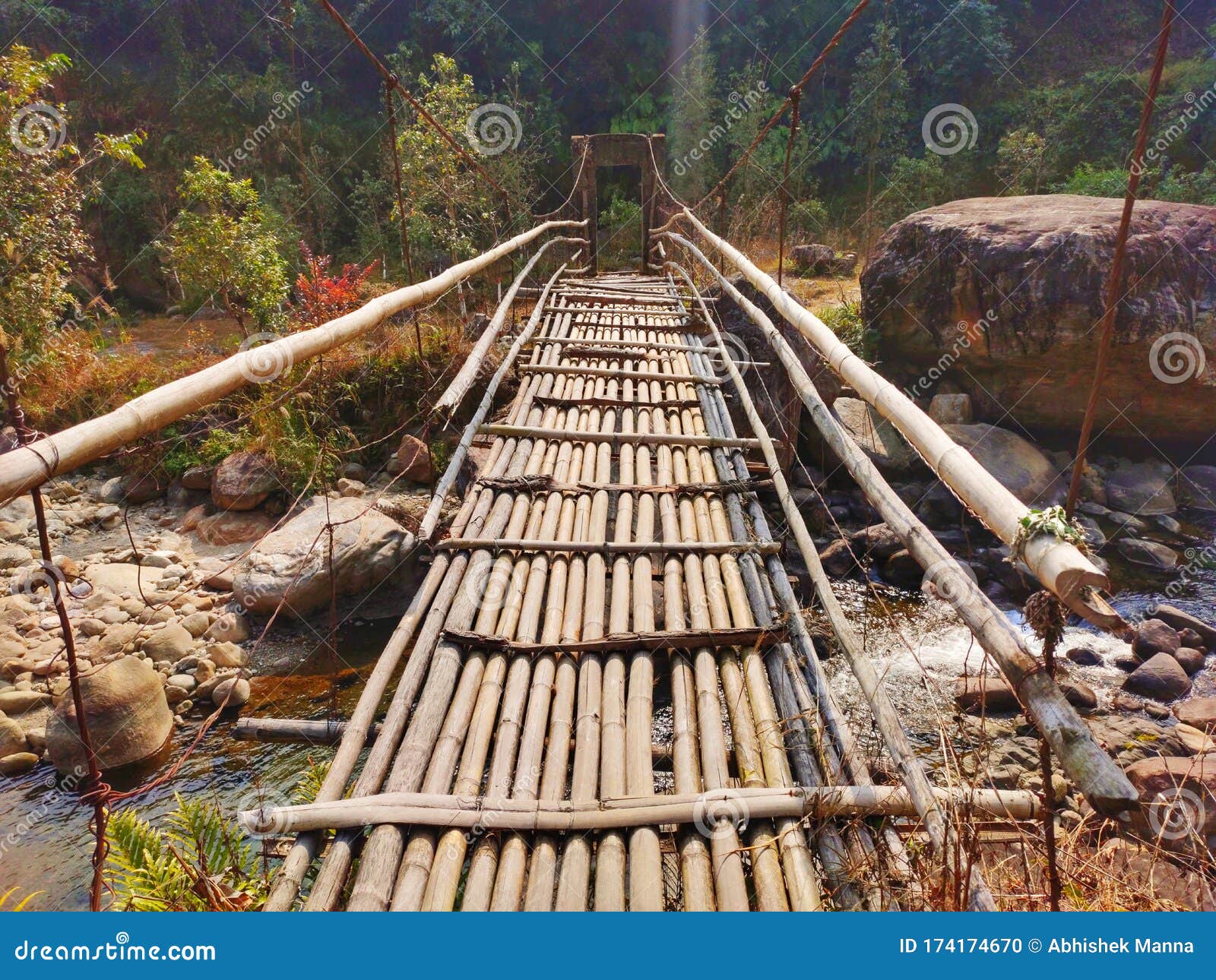 Hanging Bamboo Bridge Stock Photos - Download 431 Royalty Free Photos