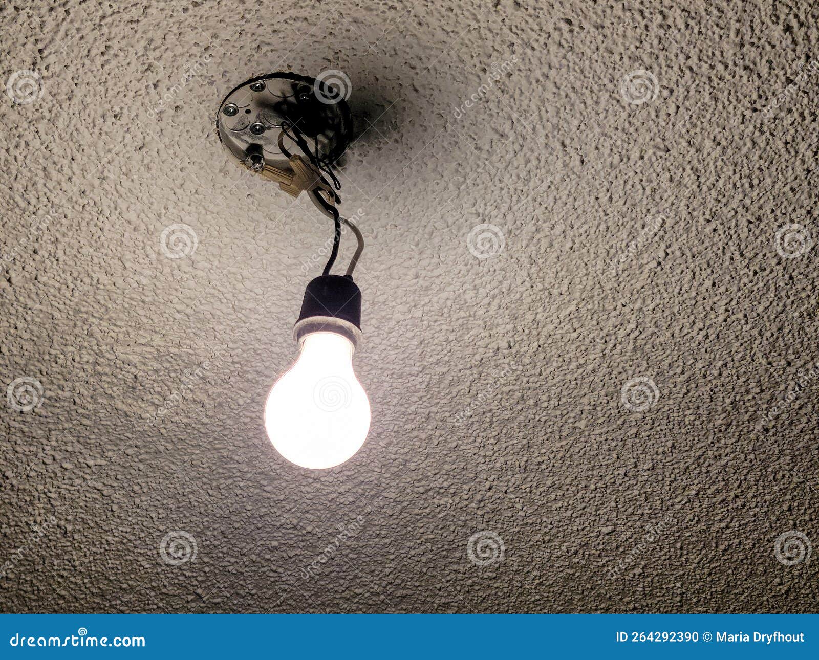 Hanging Bare Light Bulb stock photo. Image of electric - 264292390