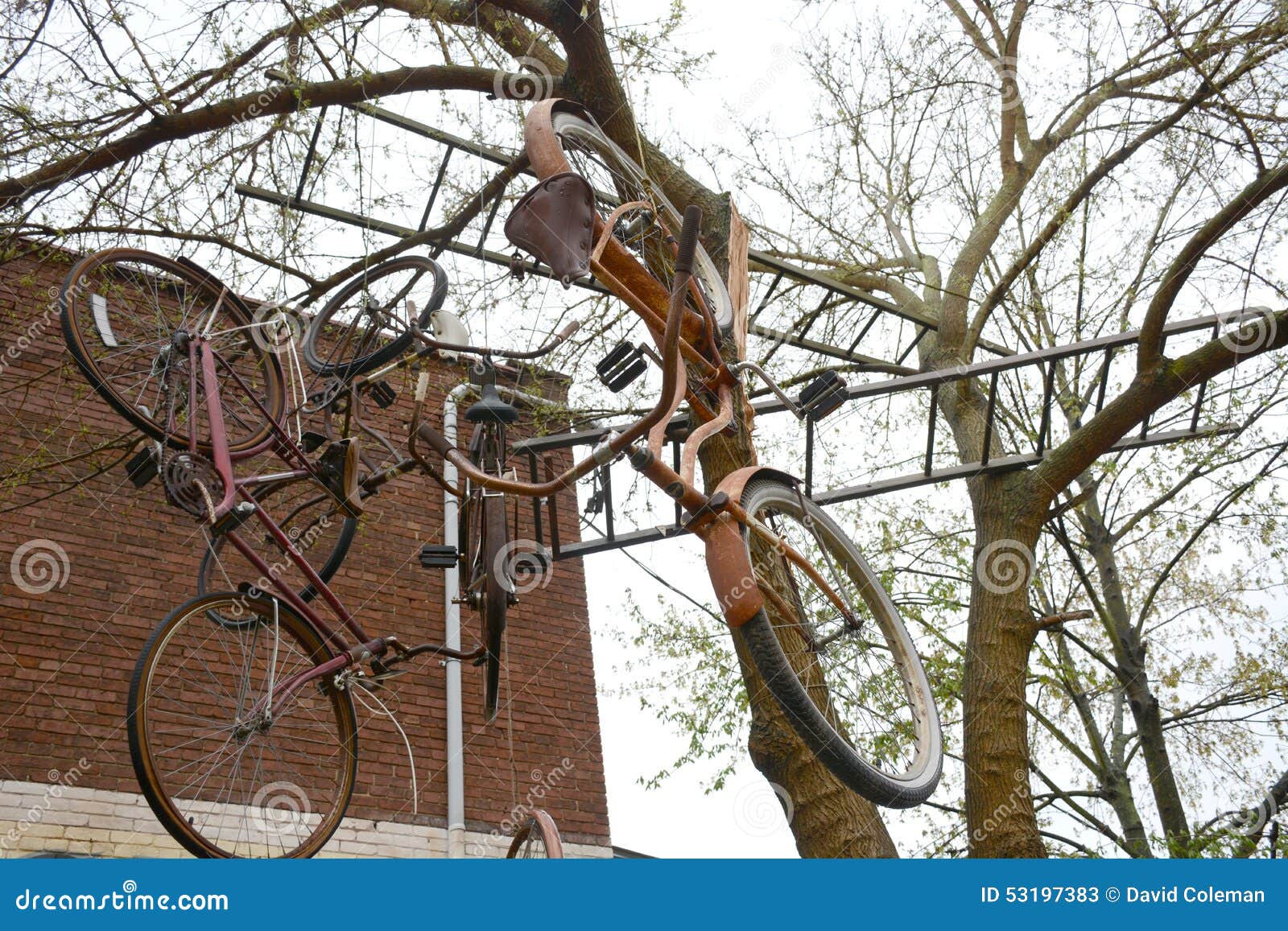 Hanging bikes stock image. Image of bicycles, hanging - 53197383