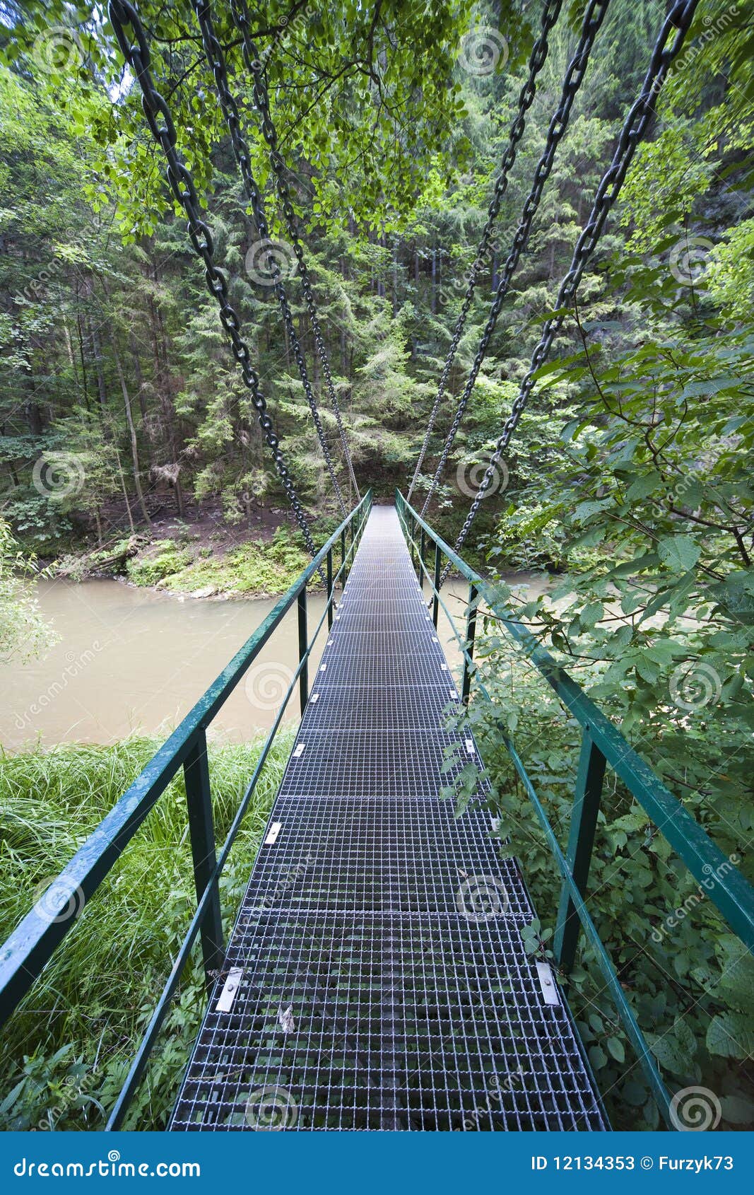 Hanging bridge stock image. Image of outdoor, slovakia - 12134353