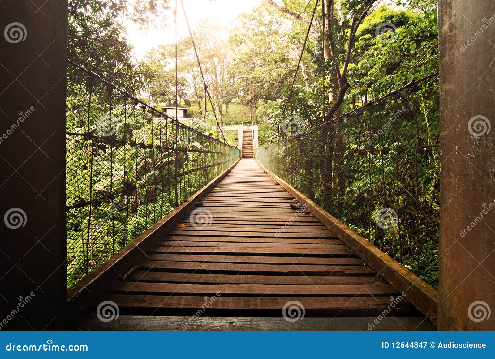 Hanging Bridge stock image. Image of elevated, bridge - 12644347