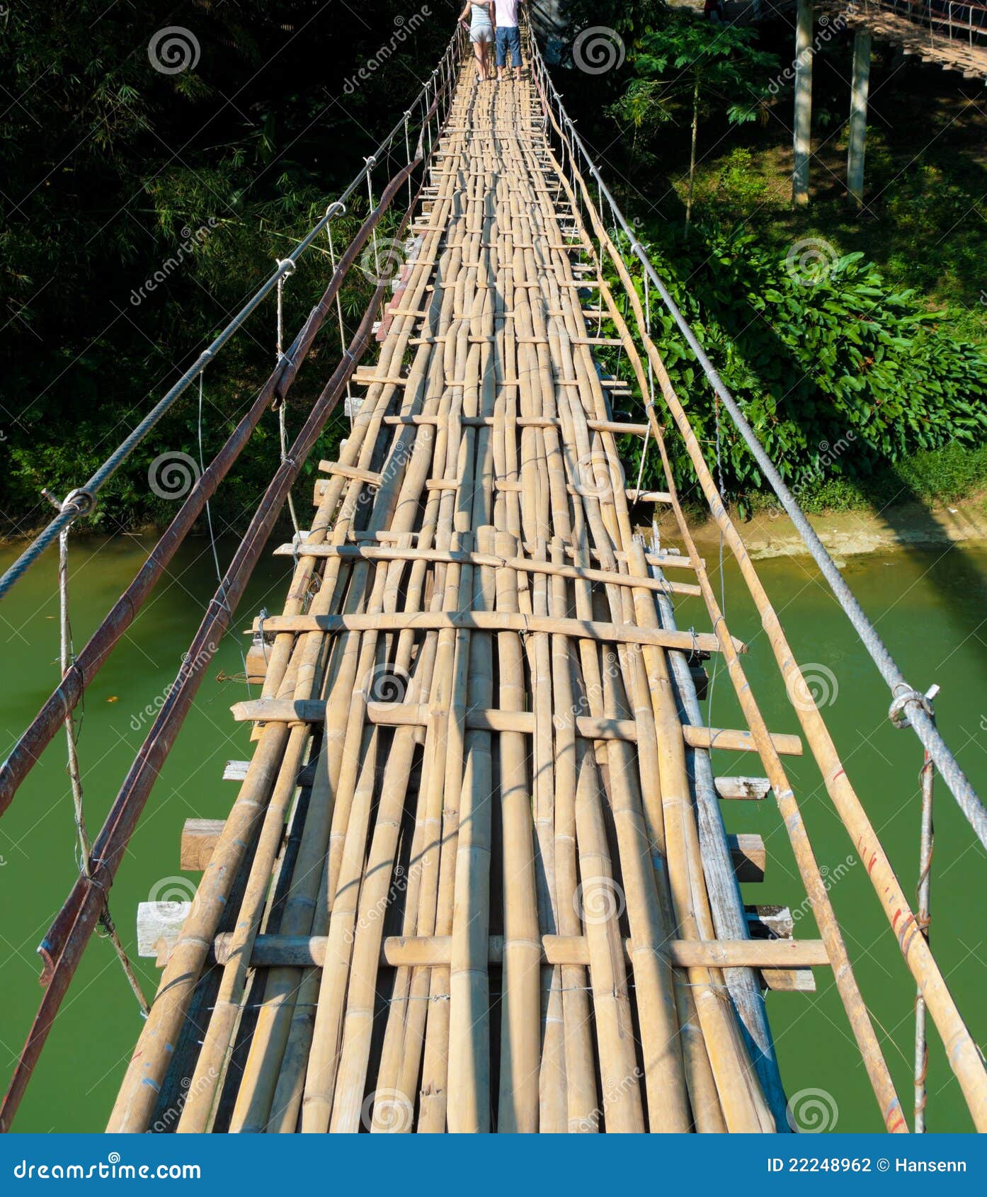Hanging bridge stock photo. Image of hanging, elevated - 22248962