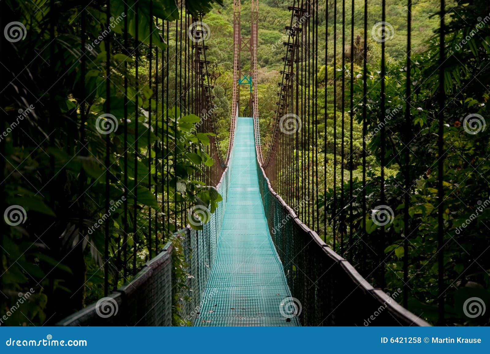 Hanging bridge stock photo. Image of central, danger, outdoors - 6421258