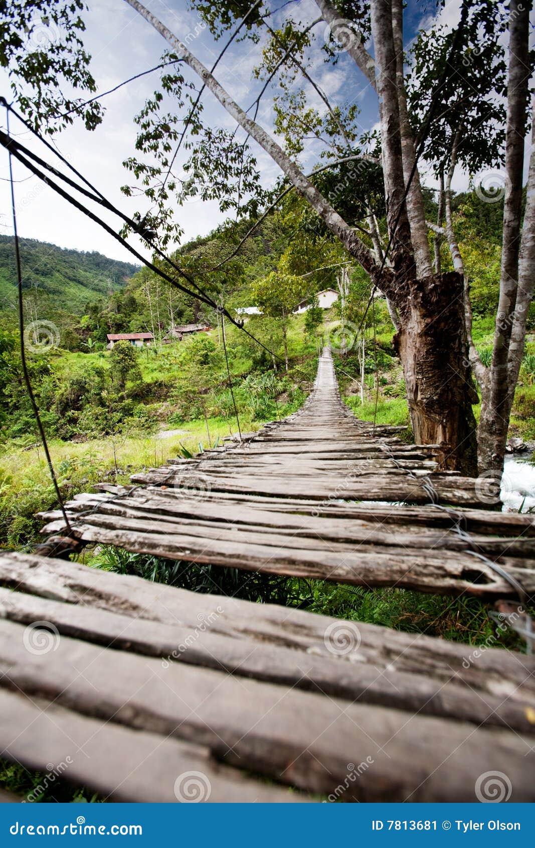 Hanging Bridge stock image. Image of forest, hang, nature - 7813681