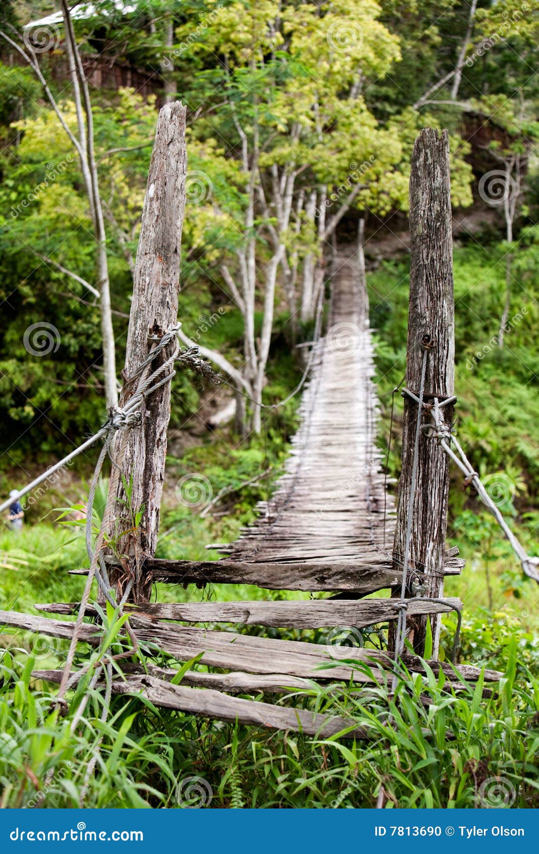 Hanging Bridge stock photo. Image of nature, bridge, outdoor - 7813690