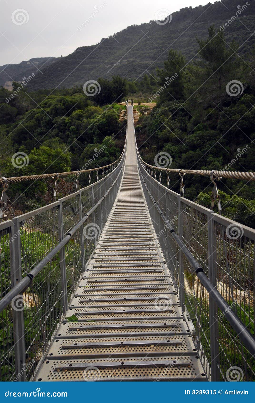 Hanging bridge stock image. Image of cables, hanging, brige - 8289315
