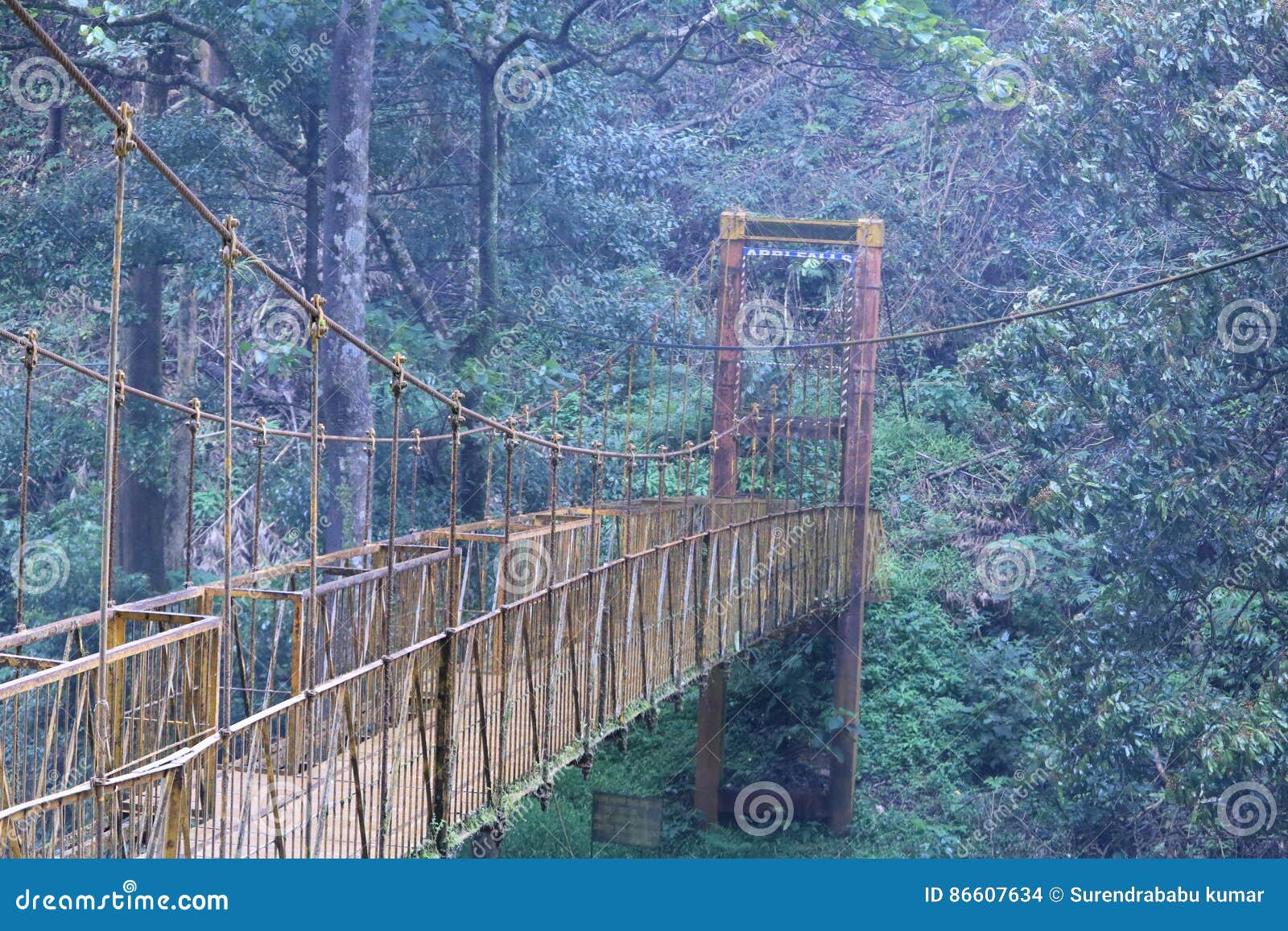 Hanging bridge editorial stock image. Image of nature - 86607634