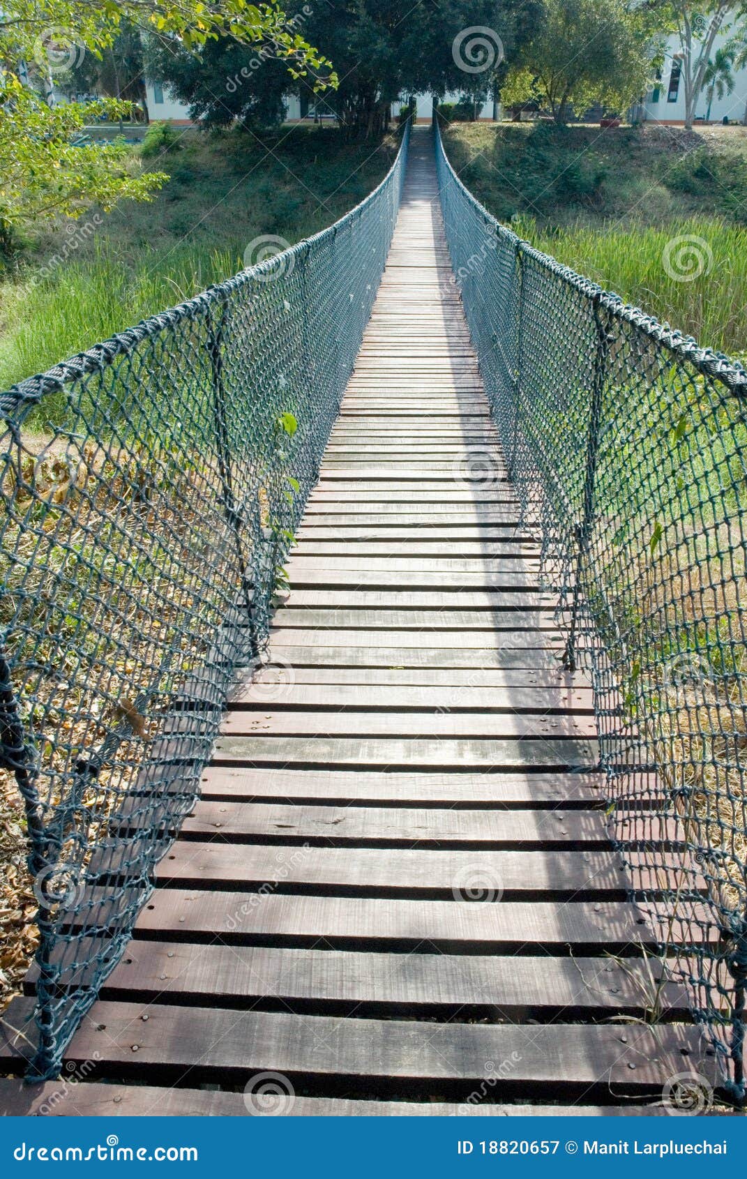 Hanging Bridge in Garden 1. Stock Image - Image of danger, structure ...