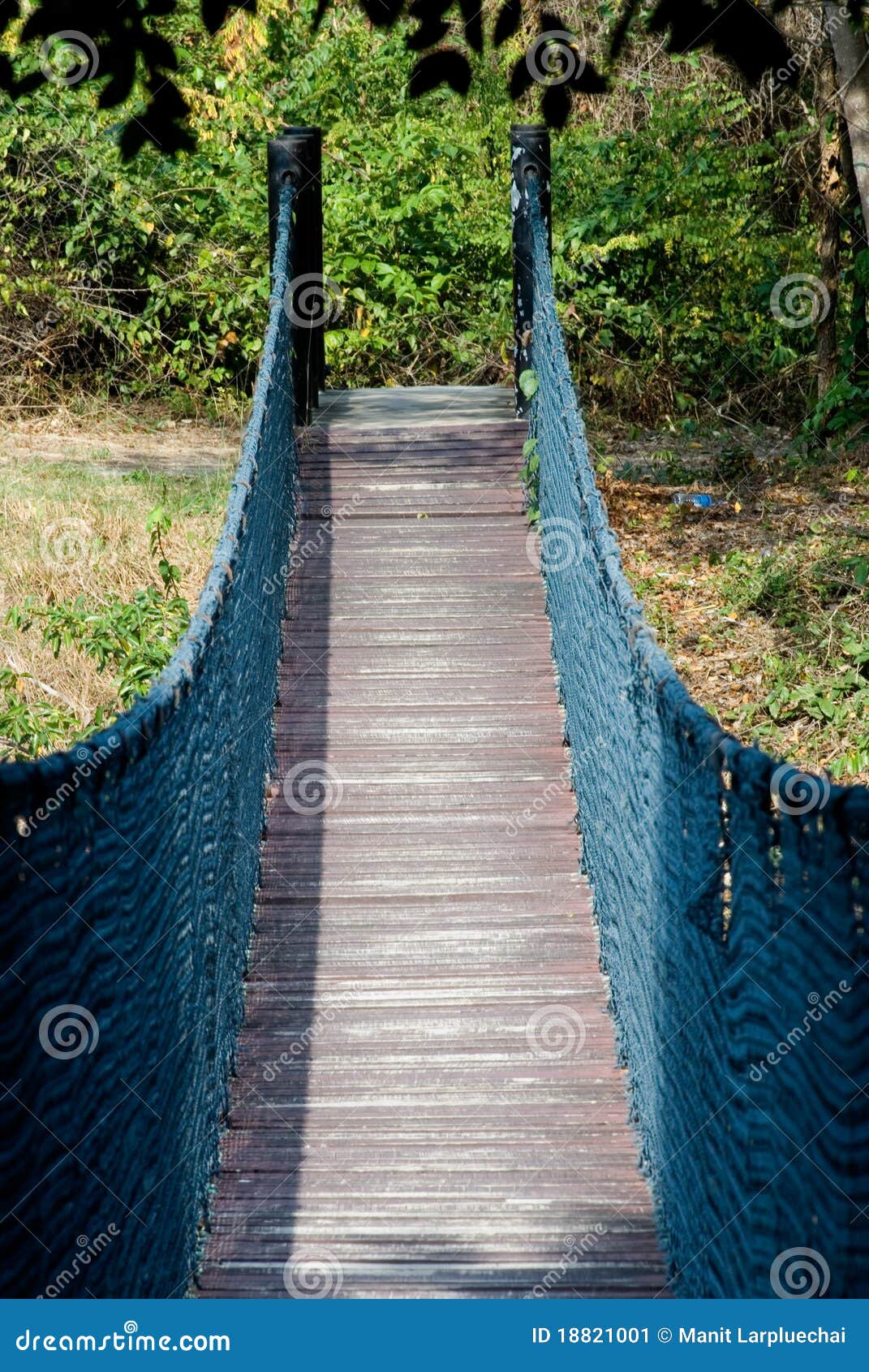 Hanging Bridge in Garden 6. Stock Image - Image of abyss, structure ...