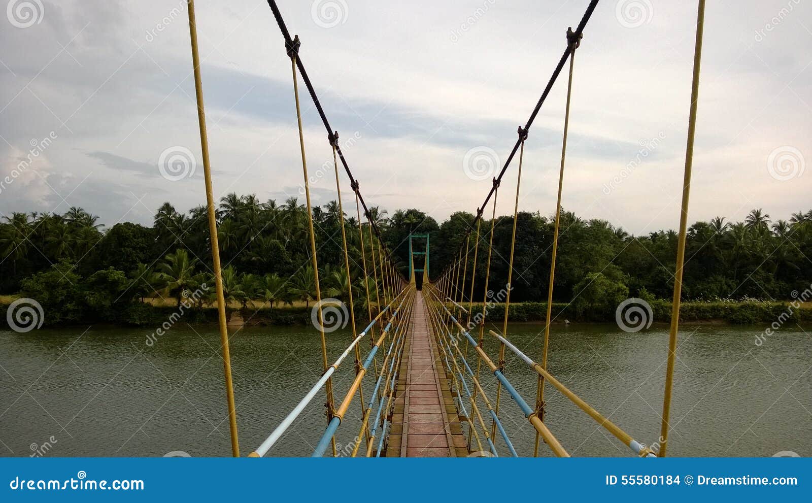 Hanging bridge stock photo. Image of hanging, danger - 55580184