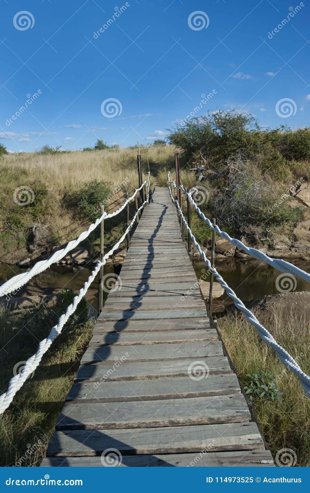 Hanging bridge in Namibia stock image. Image of elevated - 114973525