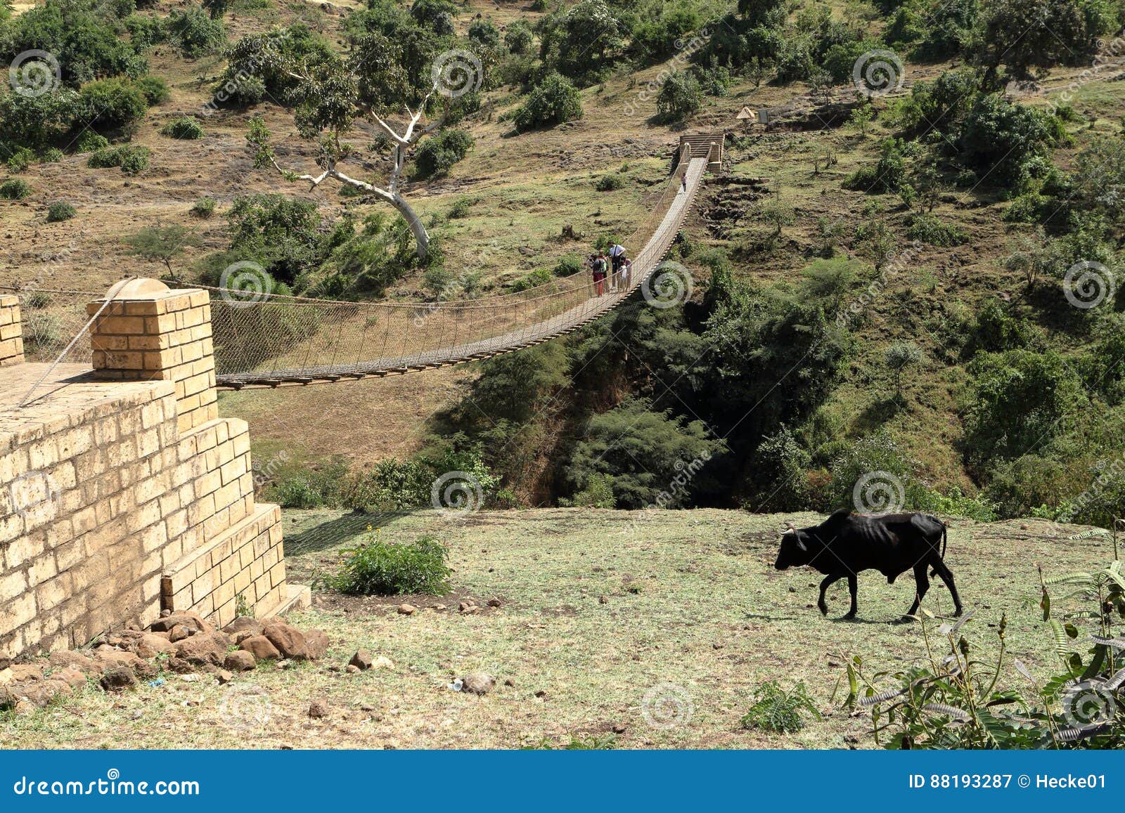 Hanging Bridge Over the Blue Nile in Ethiopia Editorial Photography ...