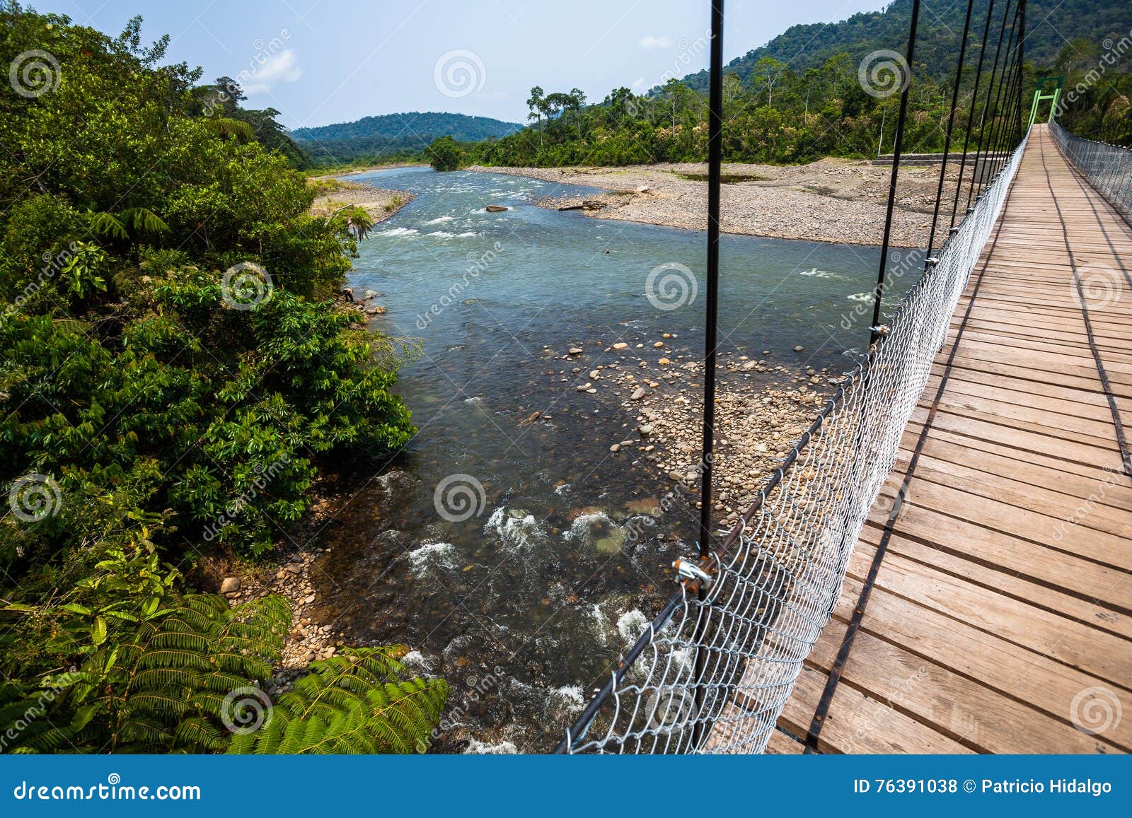 Hanging Bridge Over River Arajuno Stock Photo - Image of amazon, trail ...