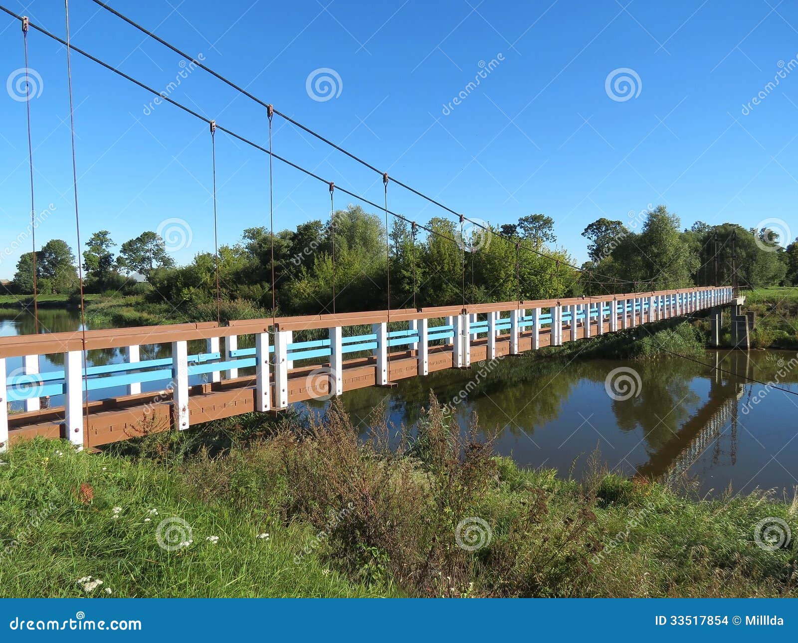 Hanging Bridge in Rusne, Lithiania Stock Photo - Image of rope, nature ...