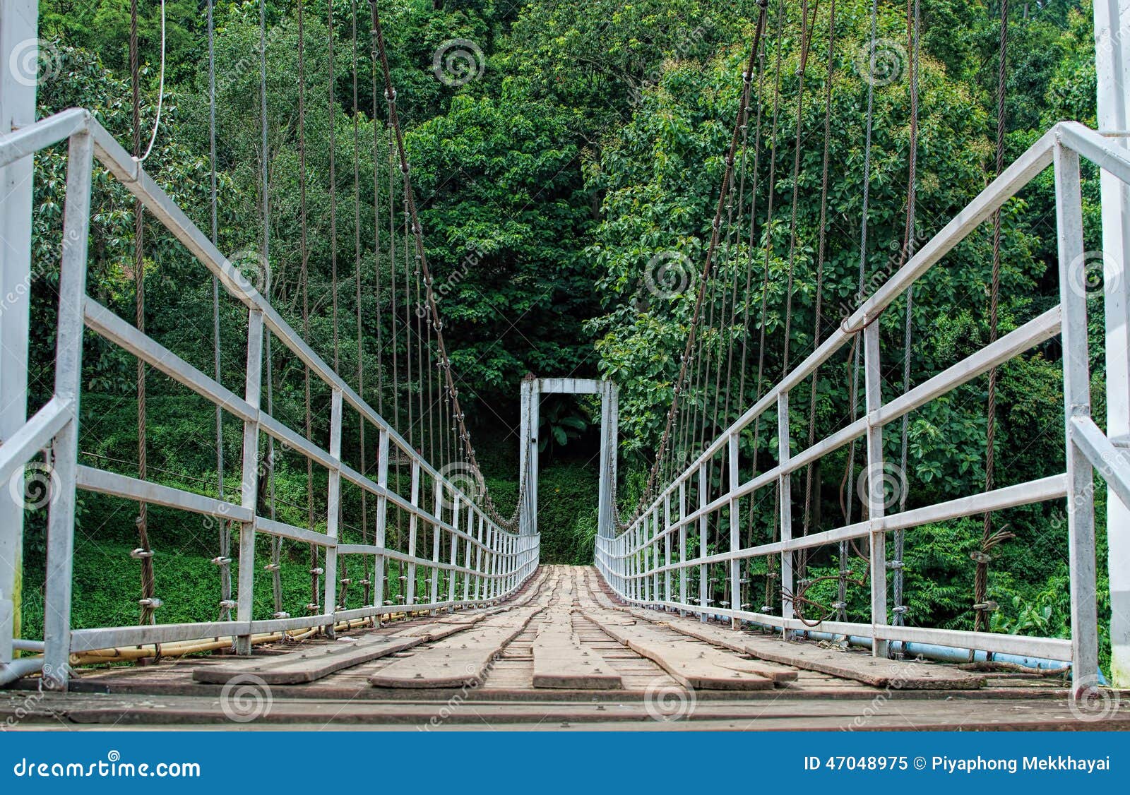 Hanging bridge stock image. Image of hiking, park, entrance - 47048975