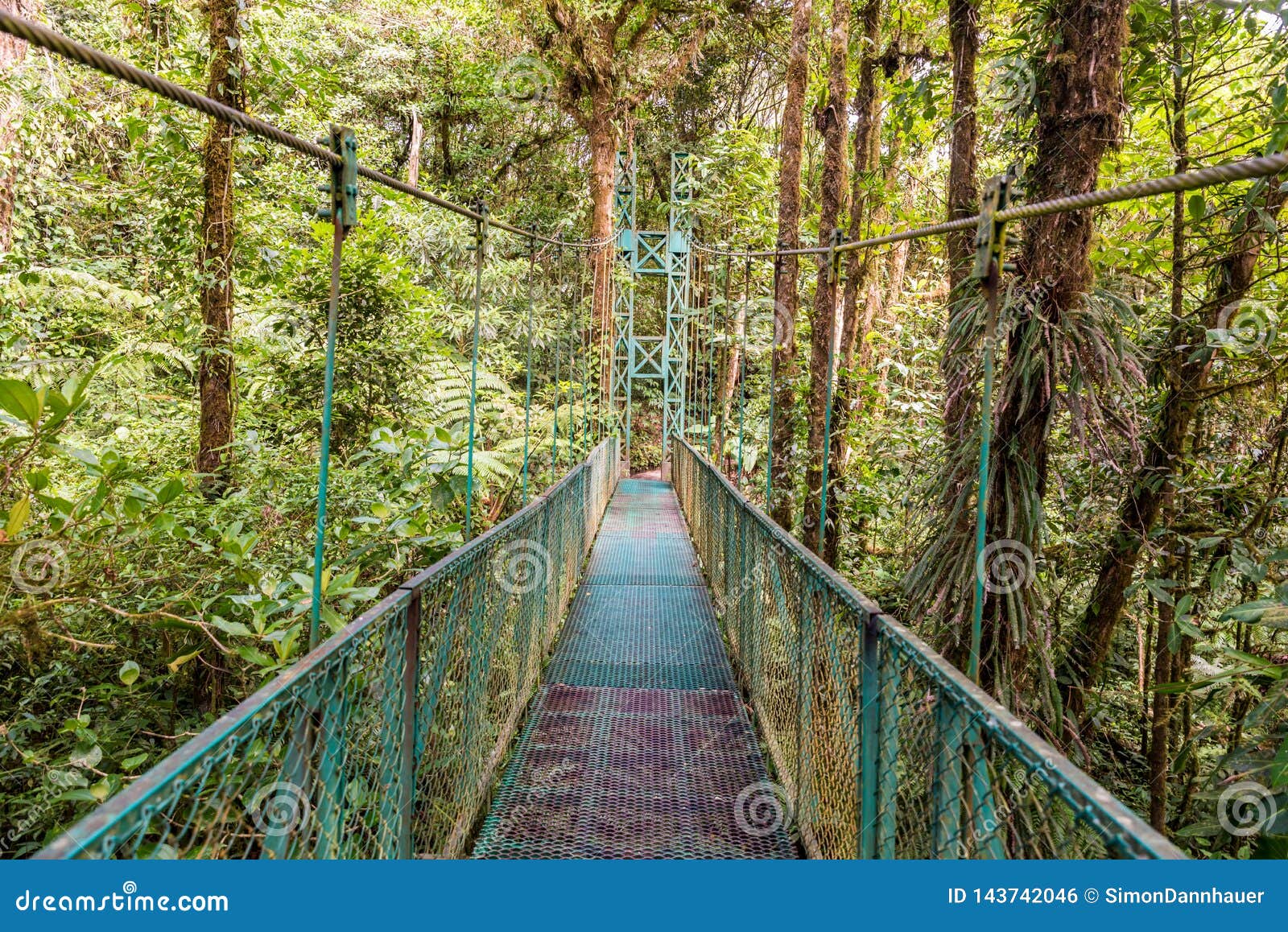 Hanging Bridges in Cloudforest - Monteverde, Costa Rica Stock Photo ...