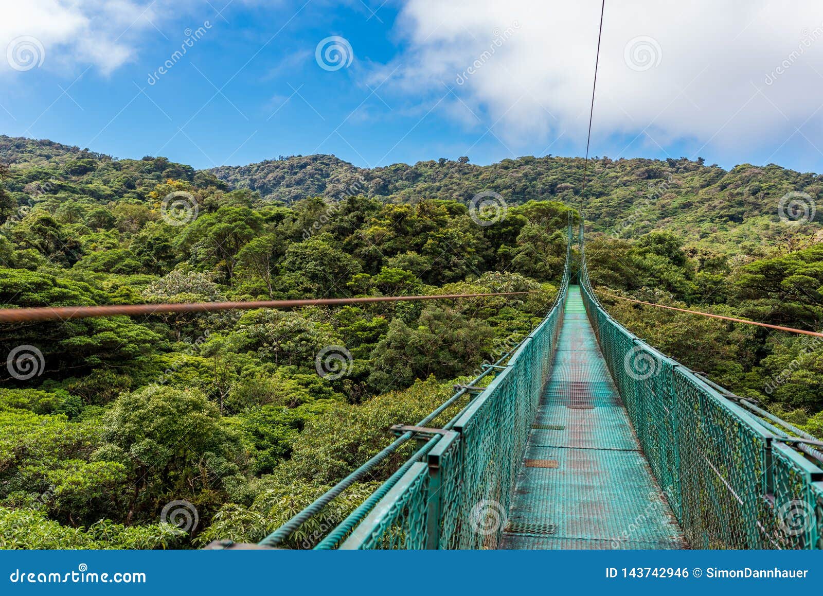 Hanging Bridges in Cloudforest - Monteverde, Costa Rica Stock Photo ...