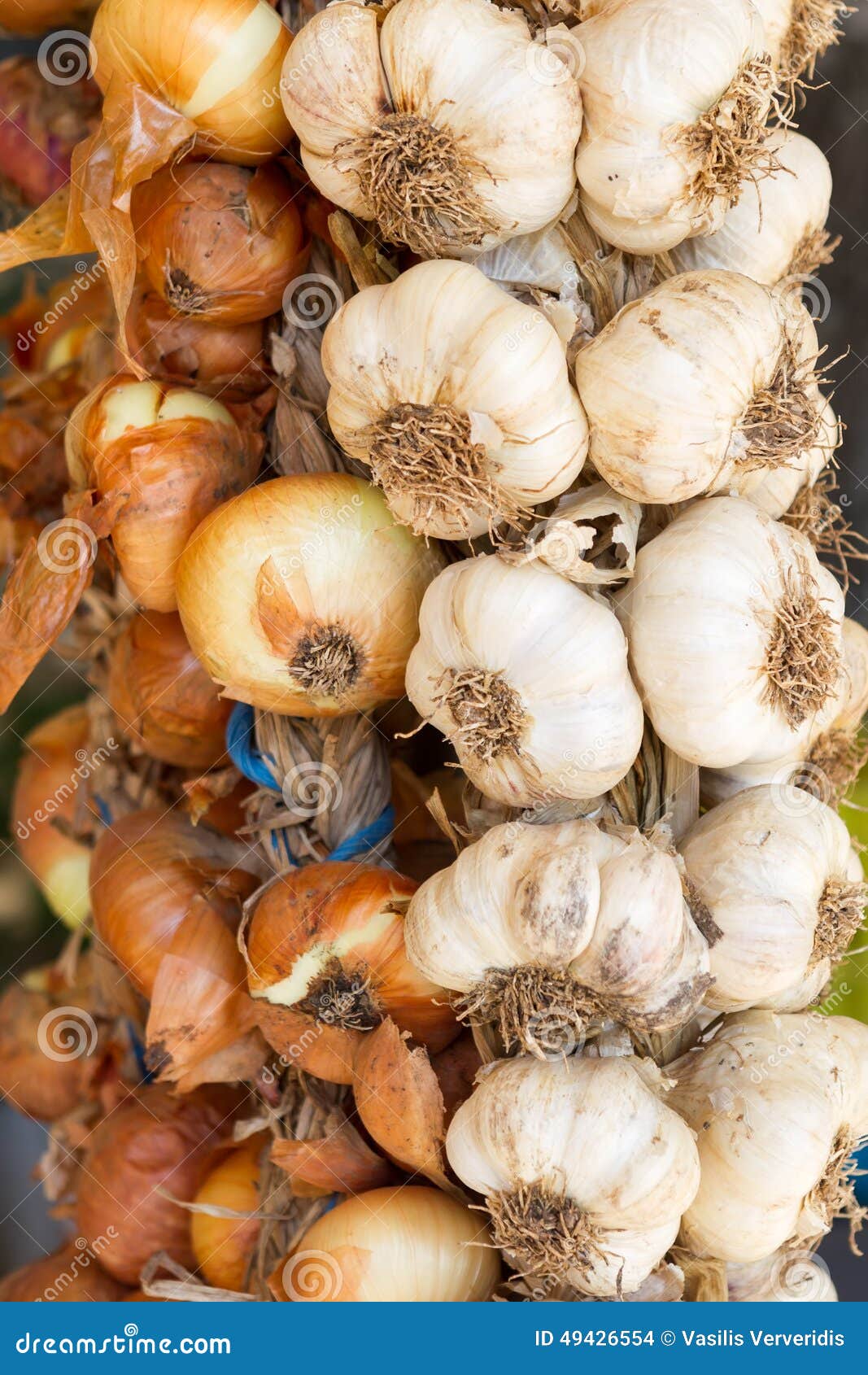 Hanging Bunch Bundle Of Onion And Garlic Clove Stock Photo - Image of ...