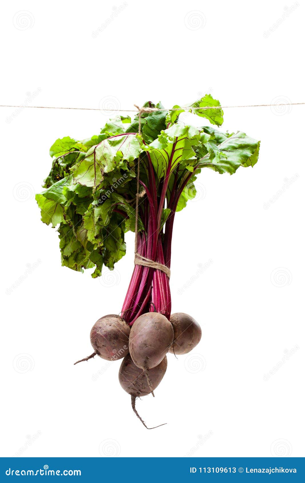 Hanging Bunch of New Beetroots Isolated on White Stock Image - Image of ...