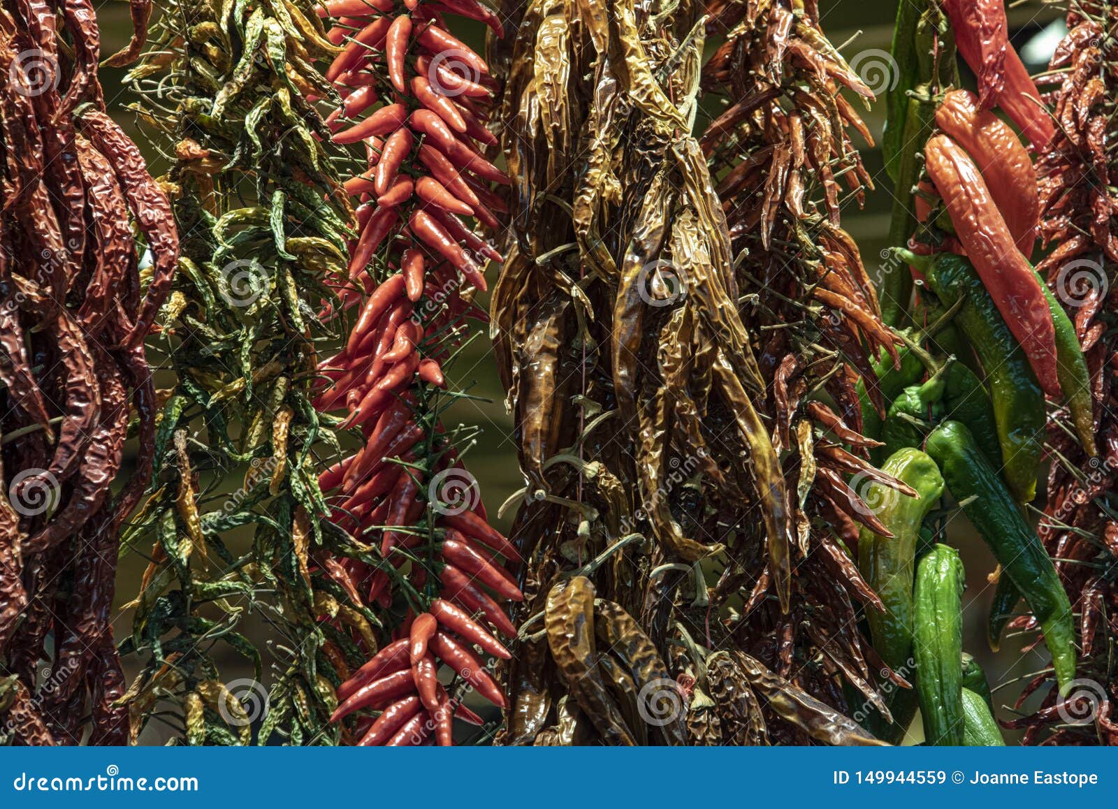 Hanging Chains of Dried Chillies Stock Image - Image of string, heat ...