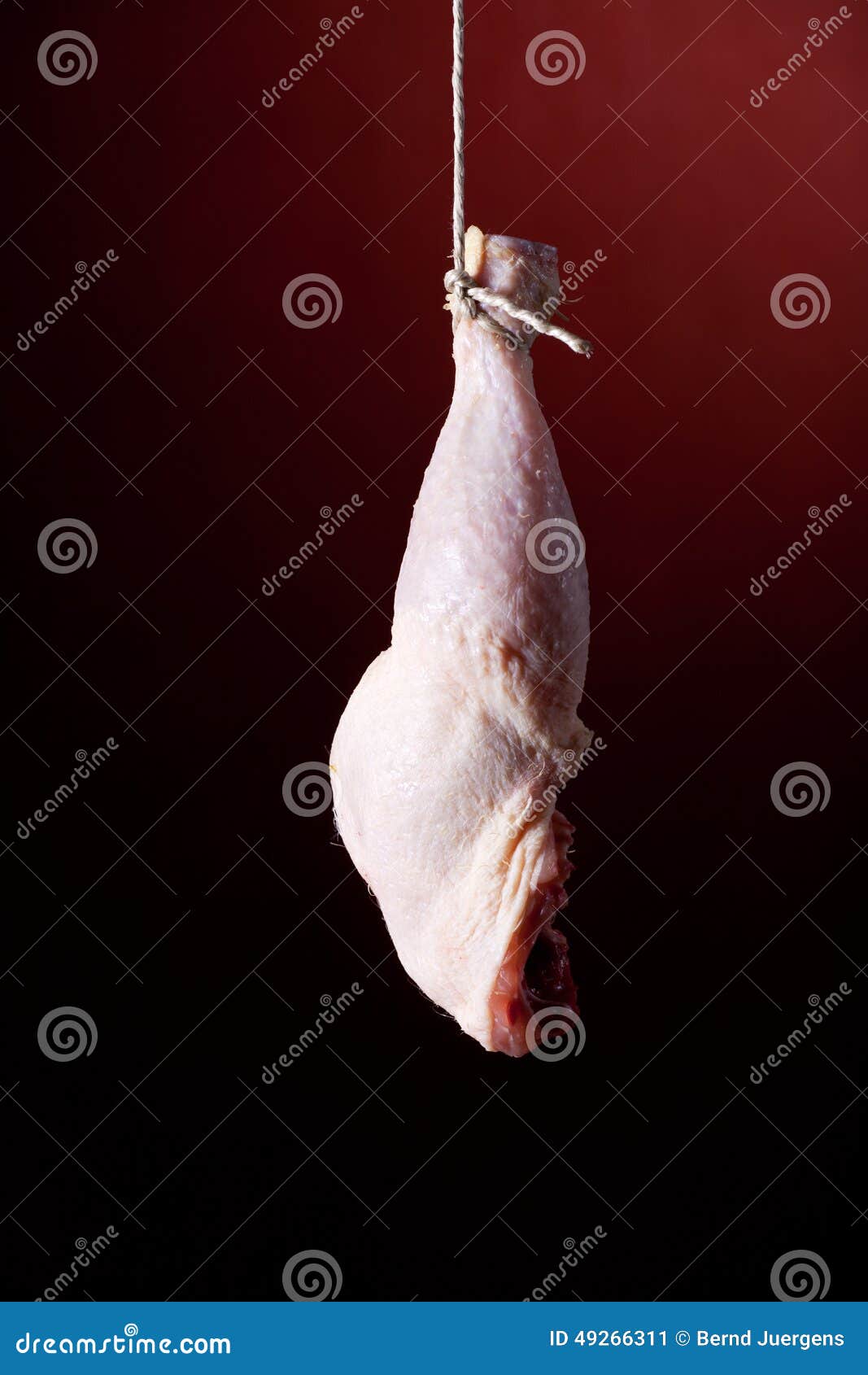 Hanging chicken leg stock image. Image of nature, ingredient - 49266311