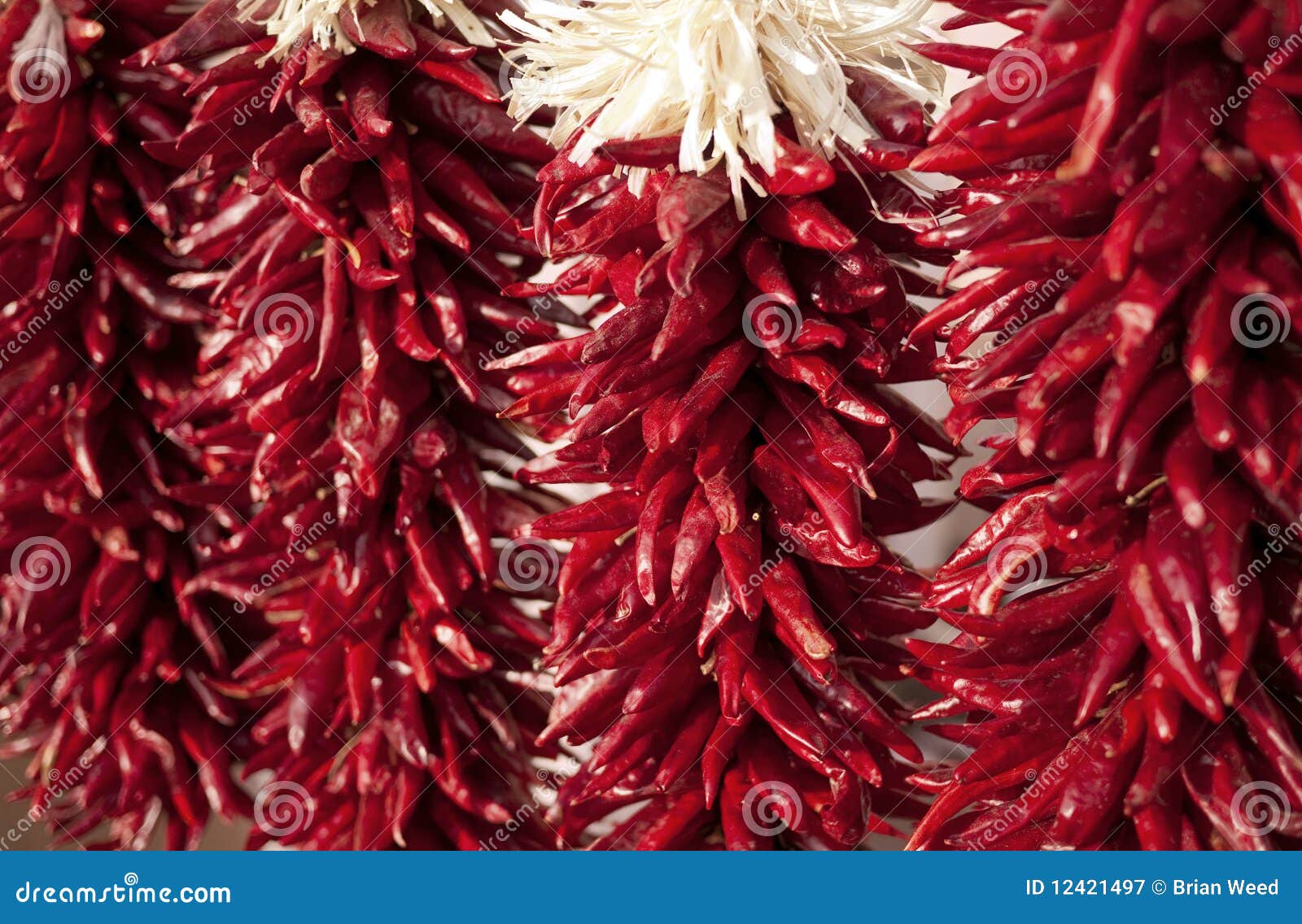 Hanging Chili Peppers stock image. Image of produce, fresh - 12421497