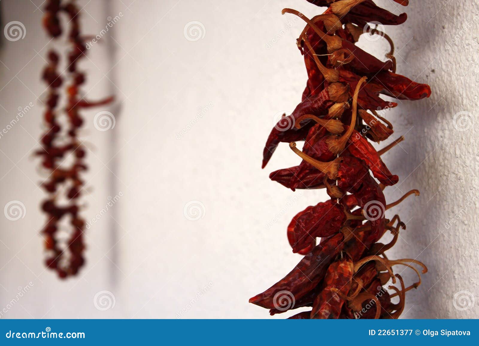 Hanging Chili Peppers stock image. Image of peppers, close - 22651377