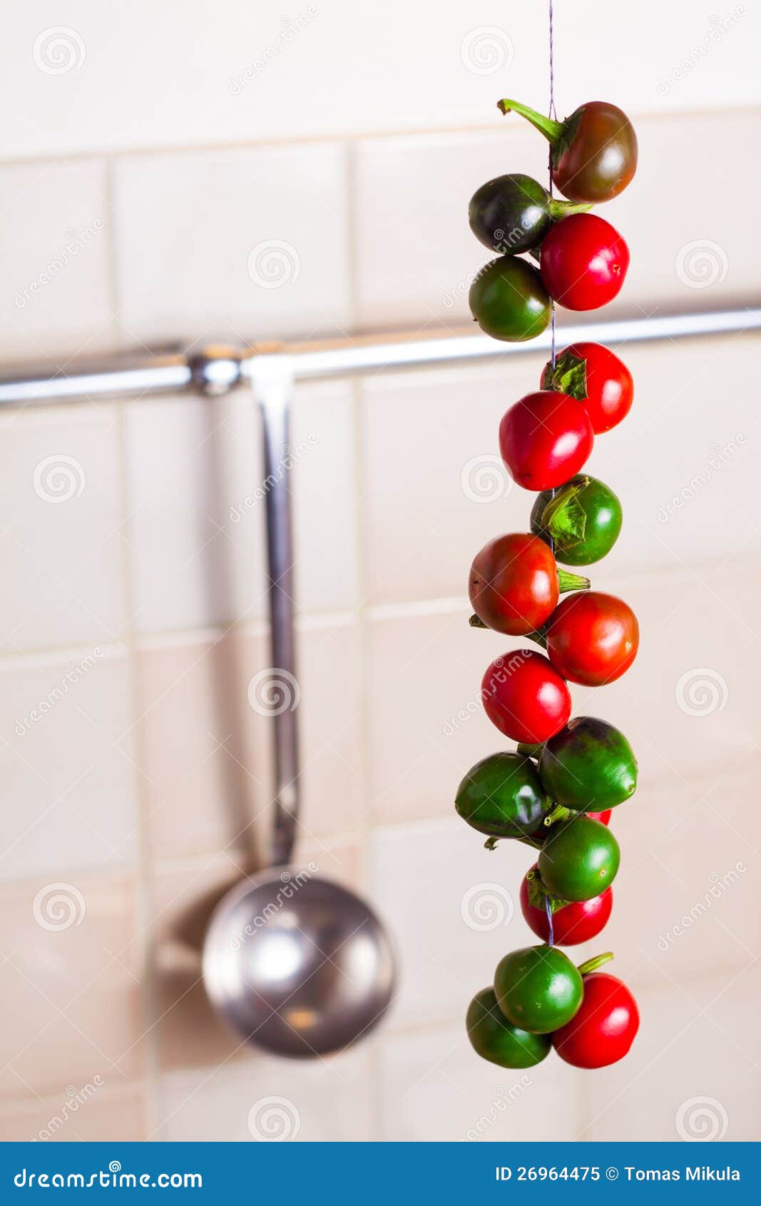 Hanging chili peppers stock image. Image of tasty, aroma - 26964475