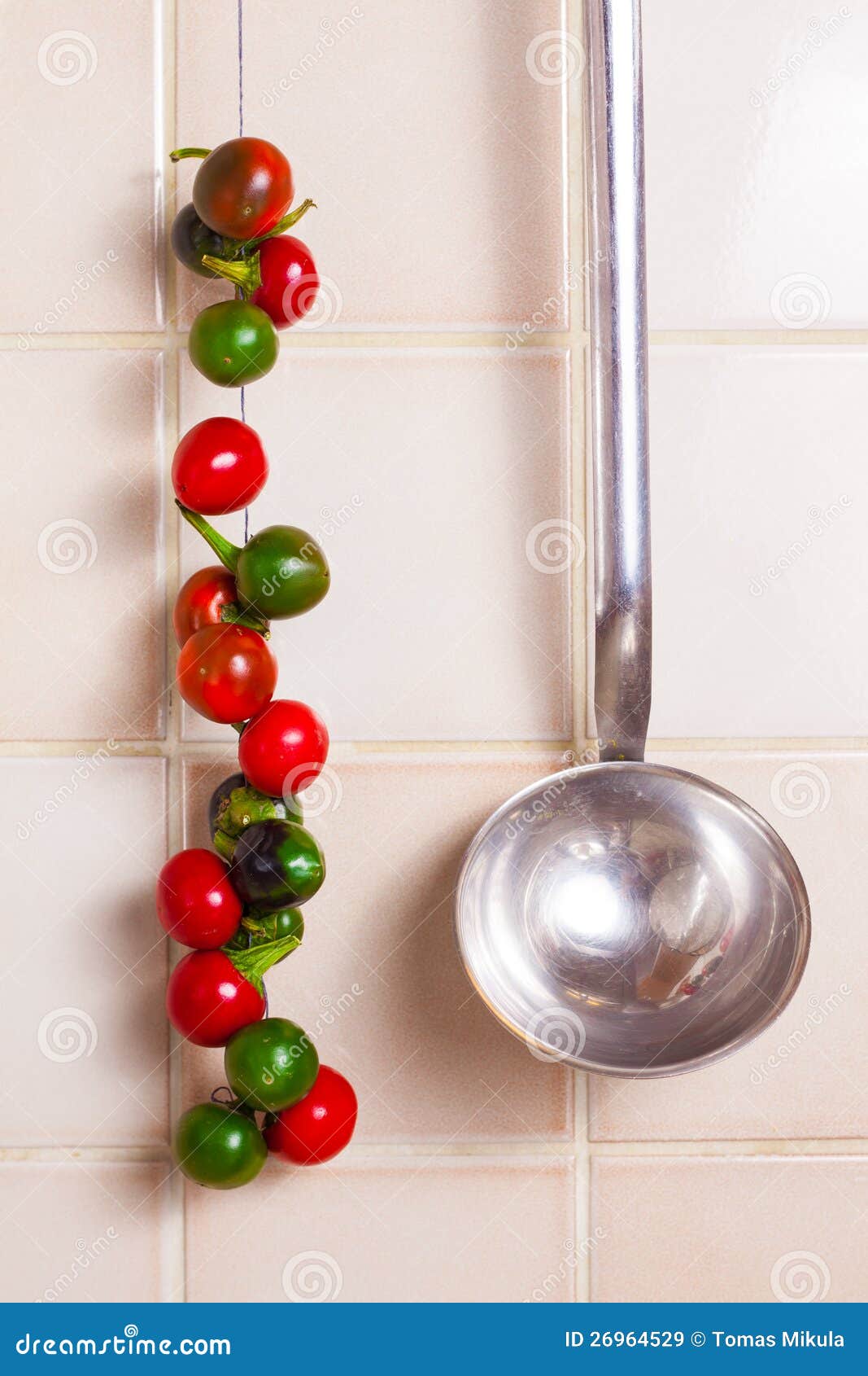 Hanging chili peppers stock image. Image of nature, cooking - 26964529