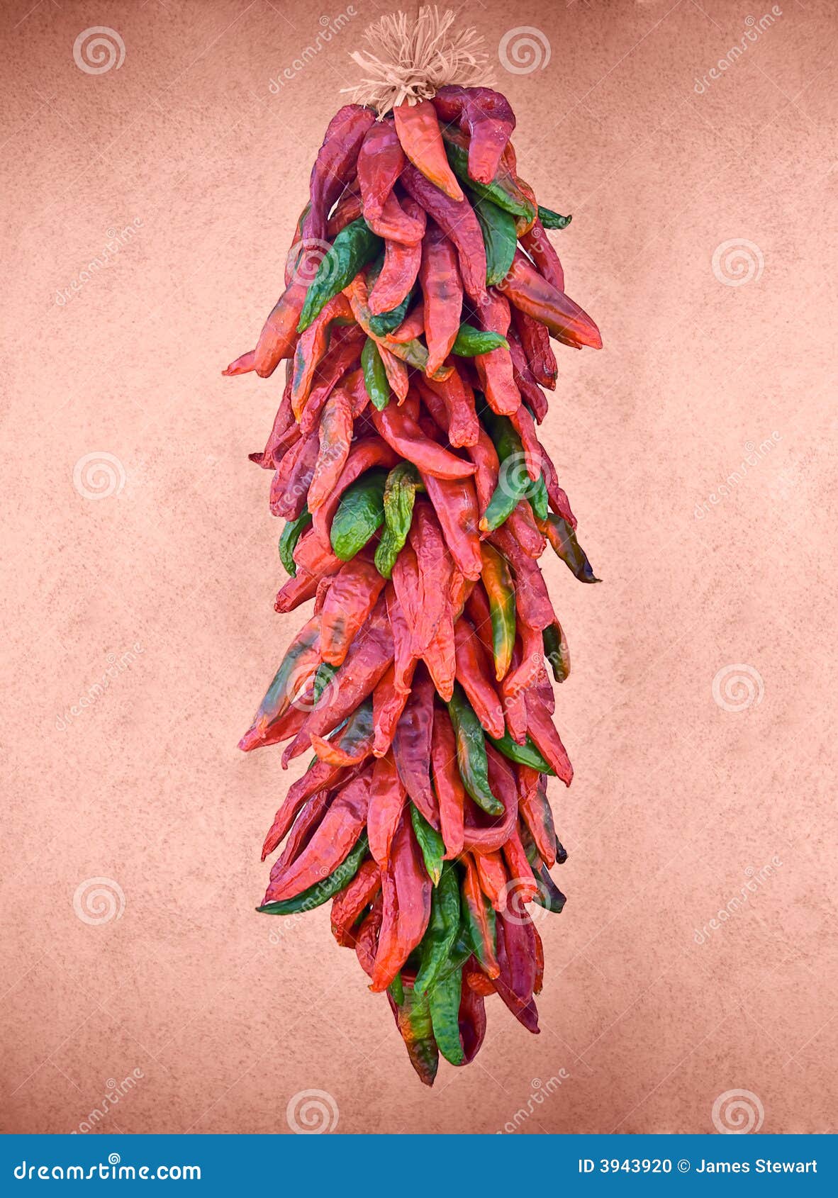 Hanging chilis stock photo. Image of chili, mexico, southwest - 3943920