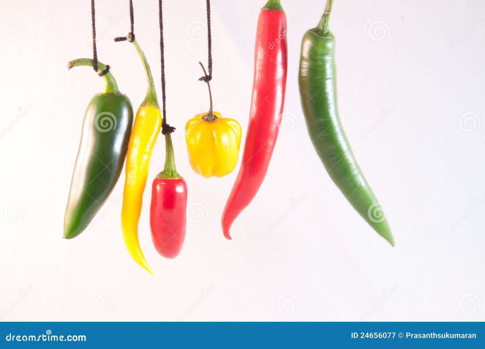 Hanging chillies stock image. Image of isolated, bunch - 24656077
