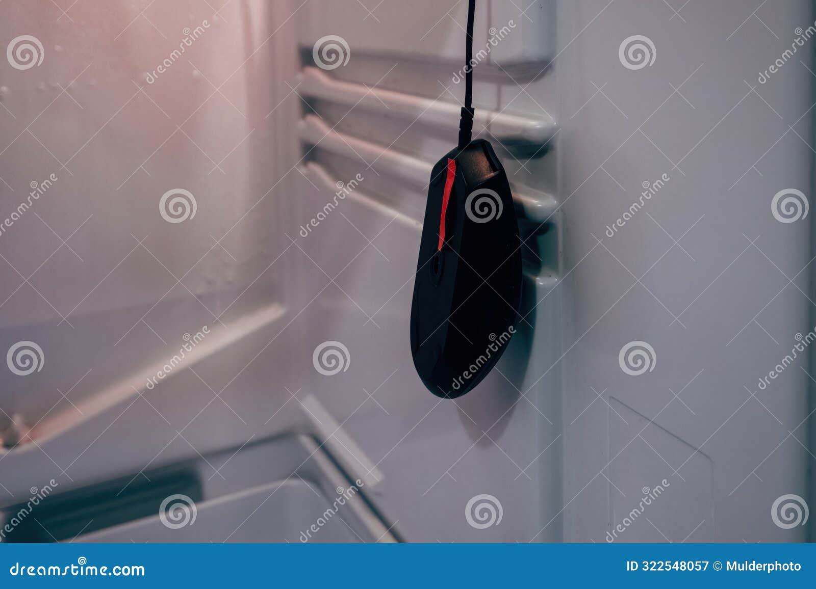 Hanging Computer Mouse in the Empty Fridge. Hunger Concept Stock Image ...