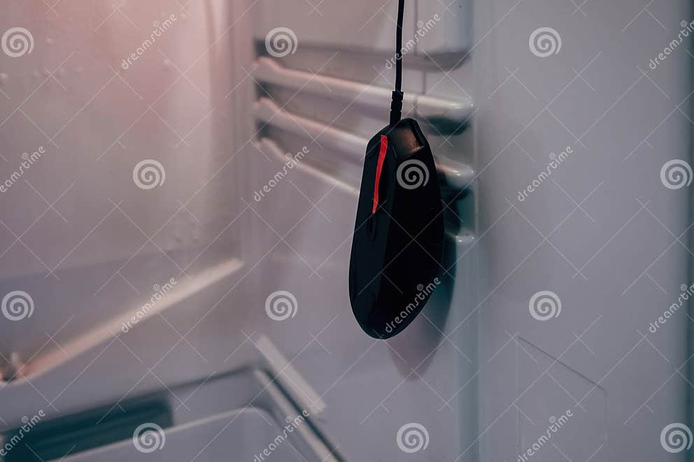 Hanging Computer Mouse in the Empty Fridge. Hunger Concept Stock Image ...