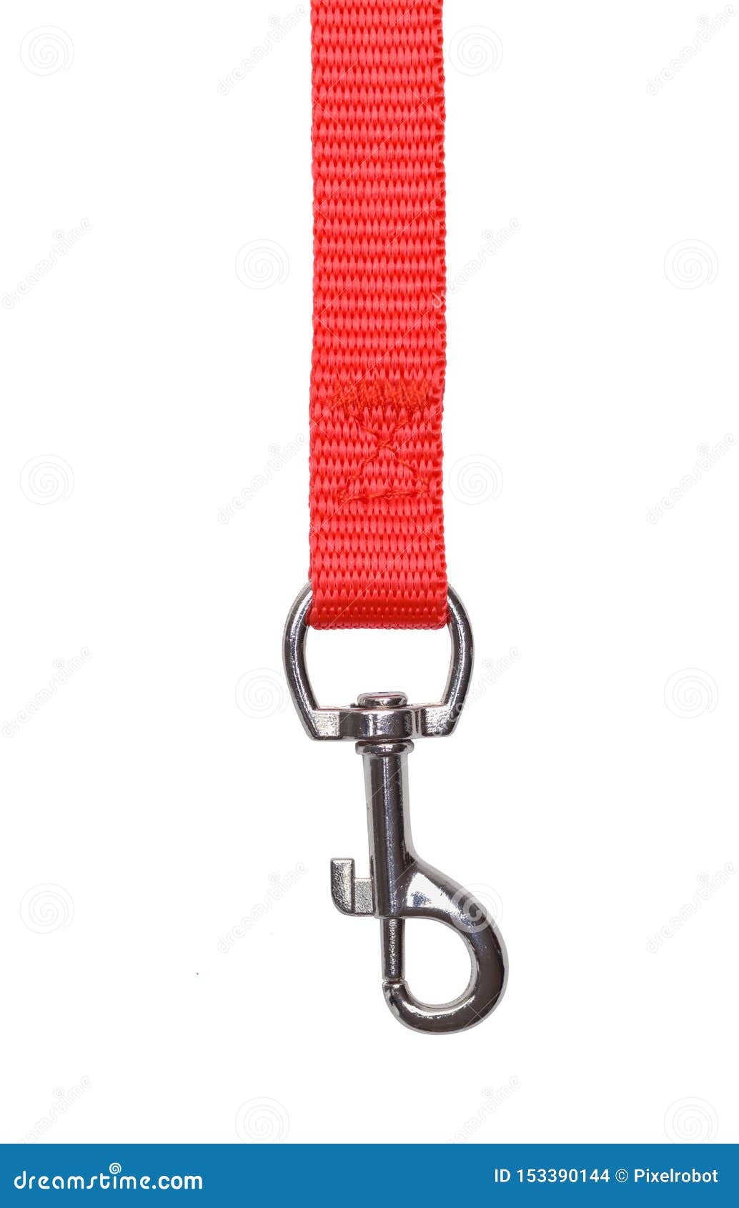 Hanging Dog Leash stock photo. Image of collar, isolated - 153390144
