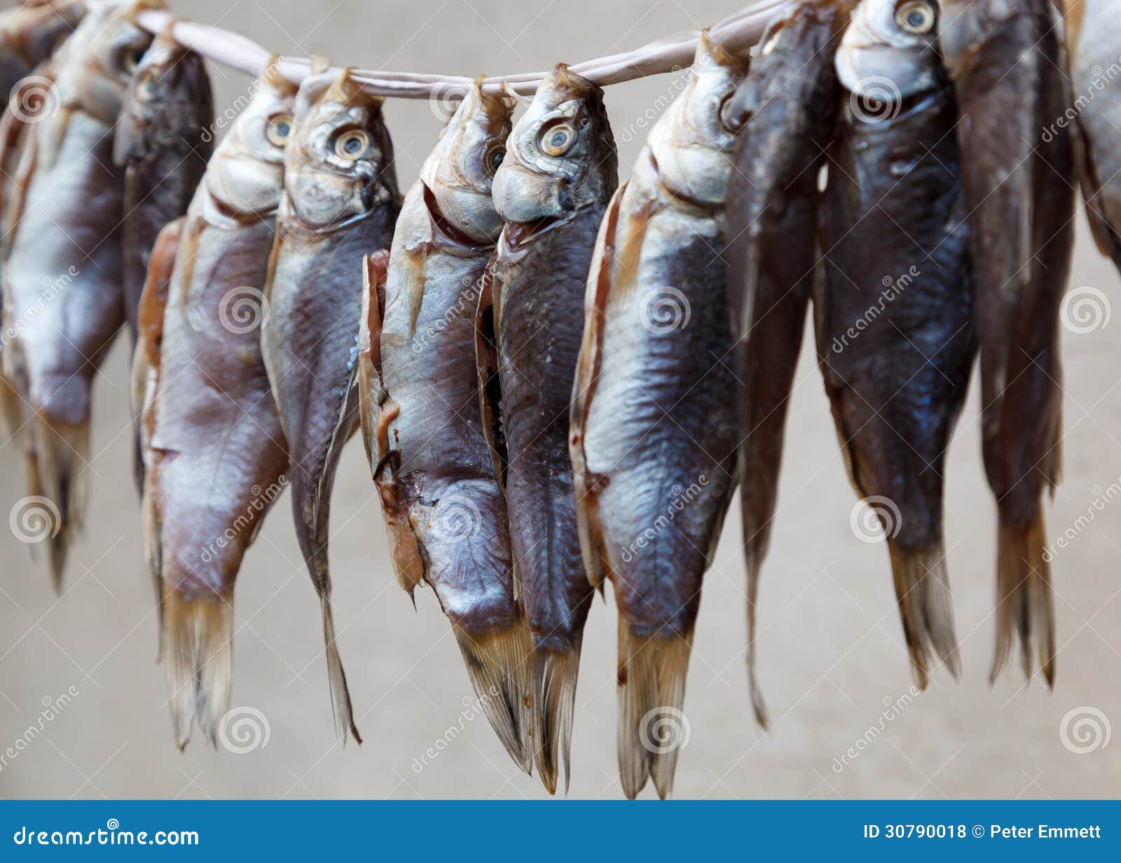 Hanging Dried Fish for Sale Stock Photo - Image of market, food: 30790018