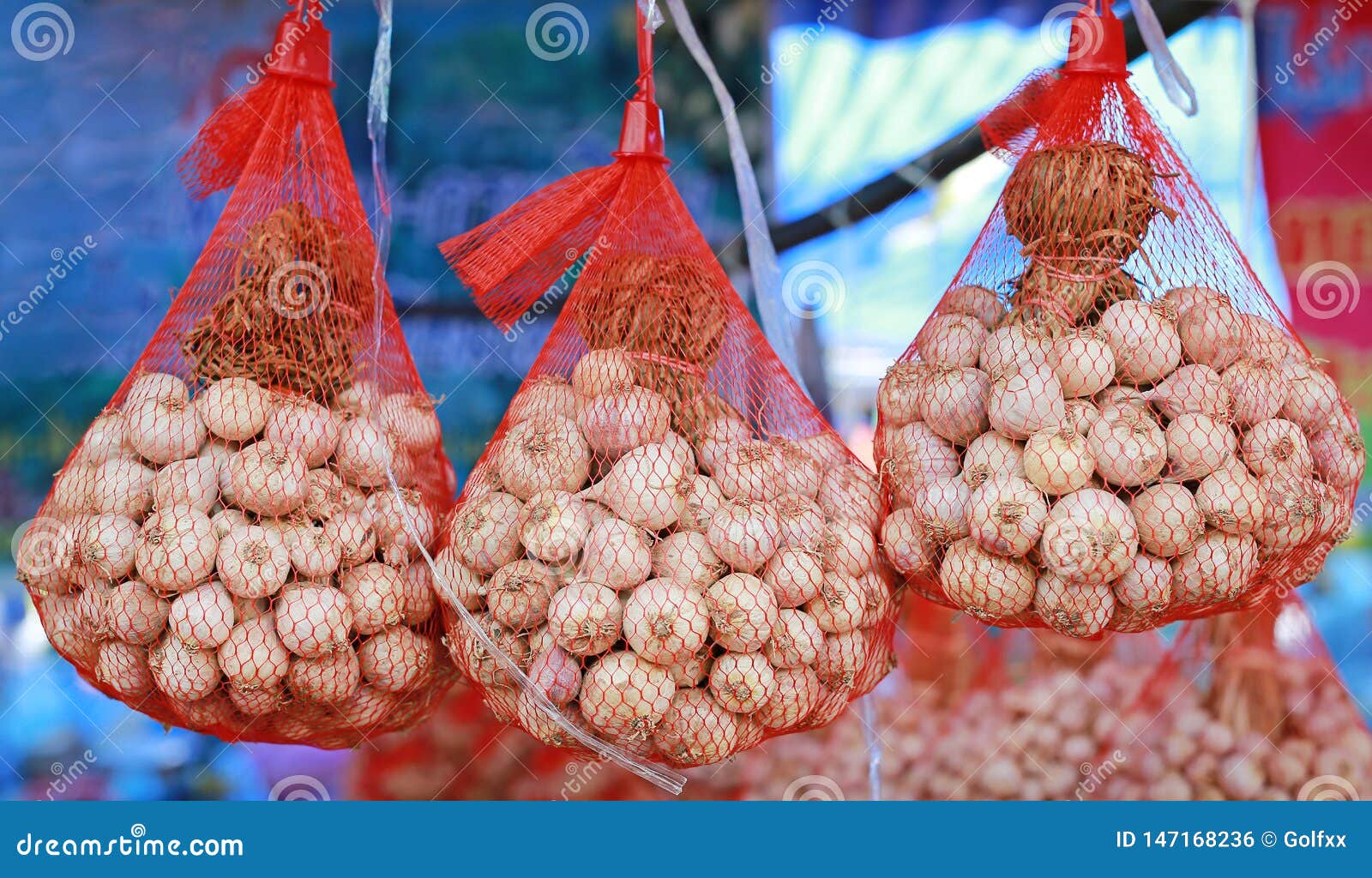 Hanging Dried Garlic in Nylon Net Bag Stock Photo - Image of hanging ...