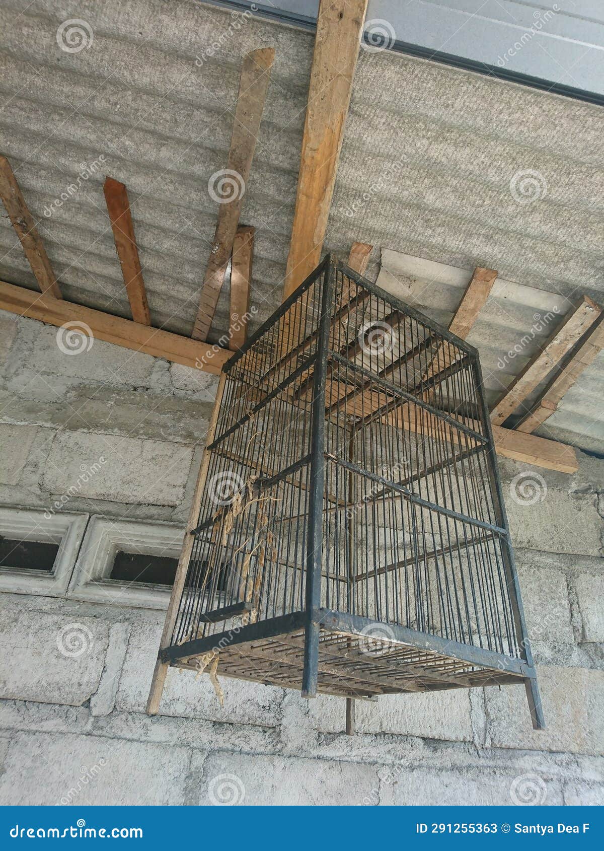 Hanging empty birdcage stock image. Image of empty, vertical - 291255363