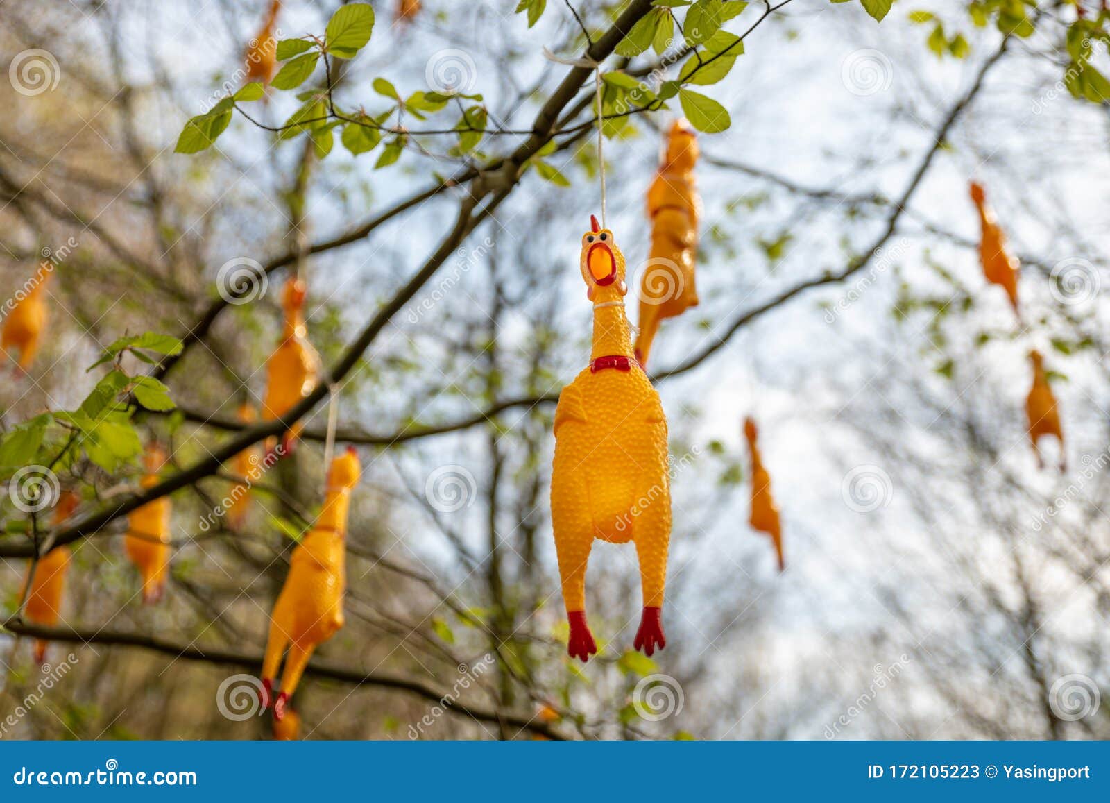 Fake Chicken On A Branch Stock Photography | CartoonDealer.com #108729110