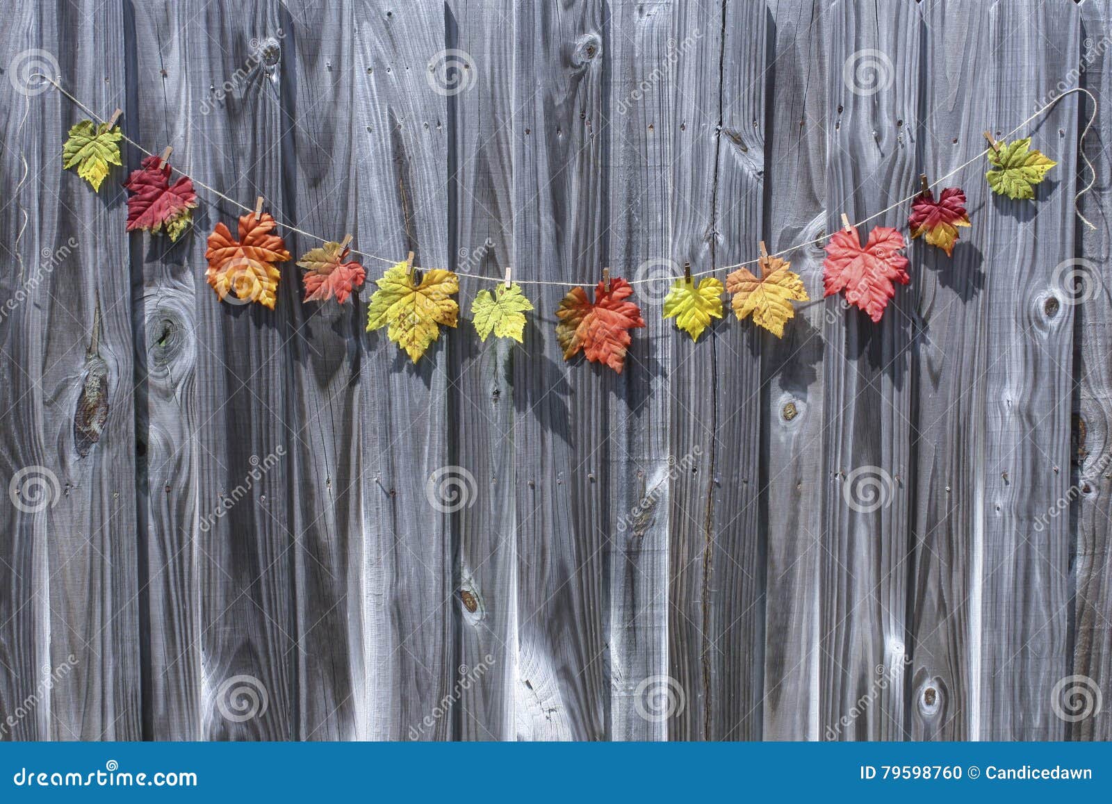 Hanging Fall Leaves Fence stock photo. Image of clothespins - 79598760