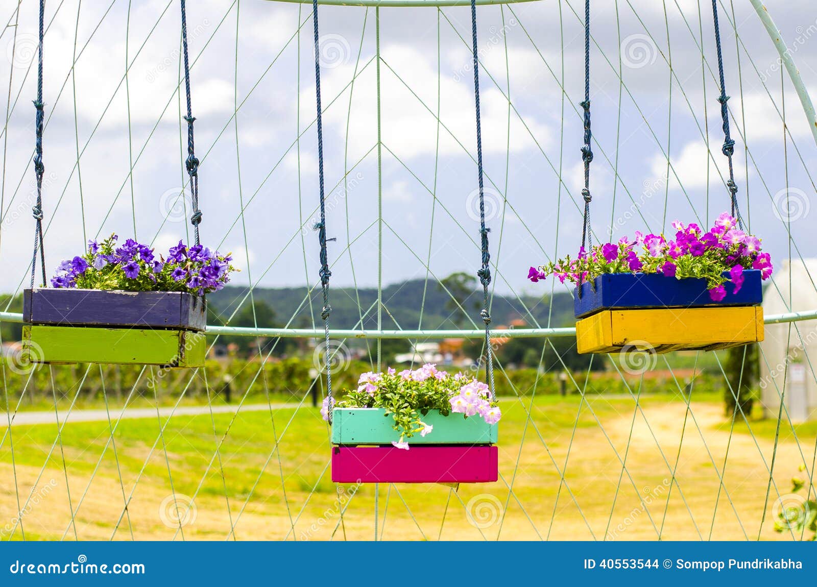 Hanging Flower Pots stock photo. Image of natural, flora - 40553544