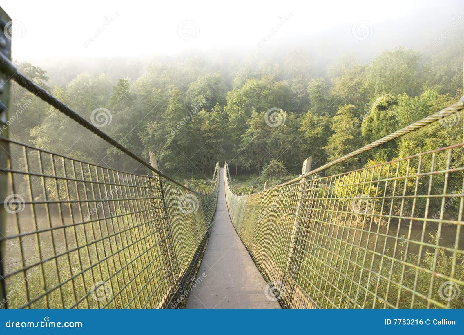 Hanging Foot Bridge Over River Stock Photo - Image of explore, green ...