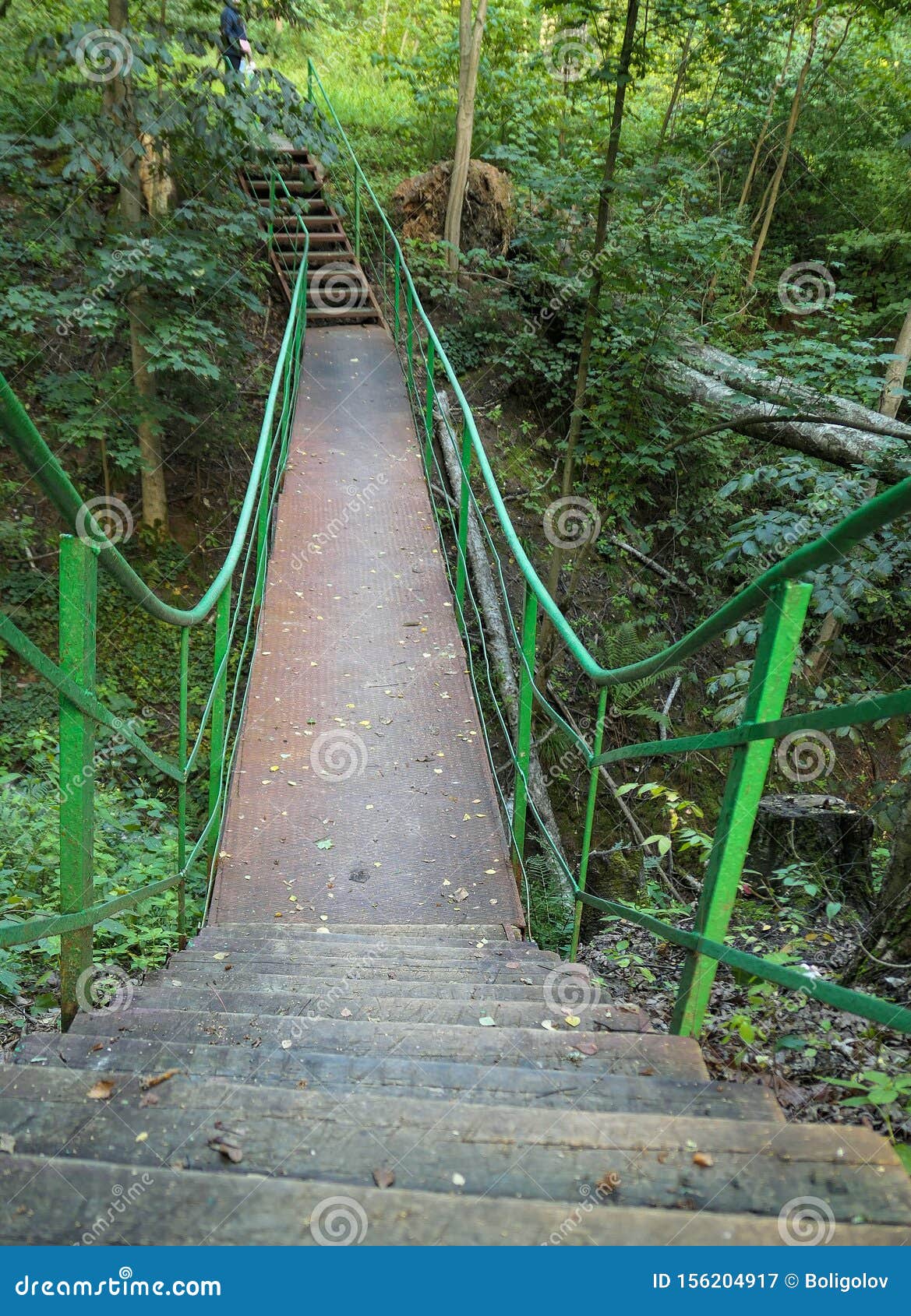 Hanging Forest Bridge with Wooden Stairs Stock Image - Image of natural ...
