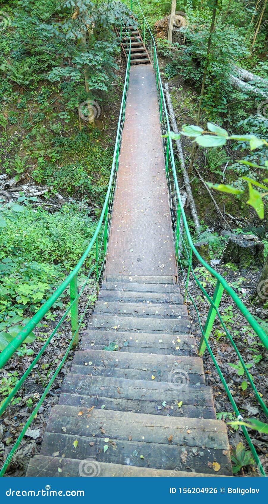 Hanging Forest Bridge with Wooden Stairs Stock Photo - Image of ...