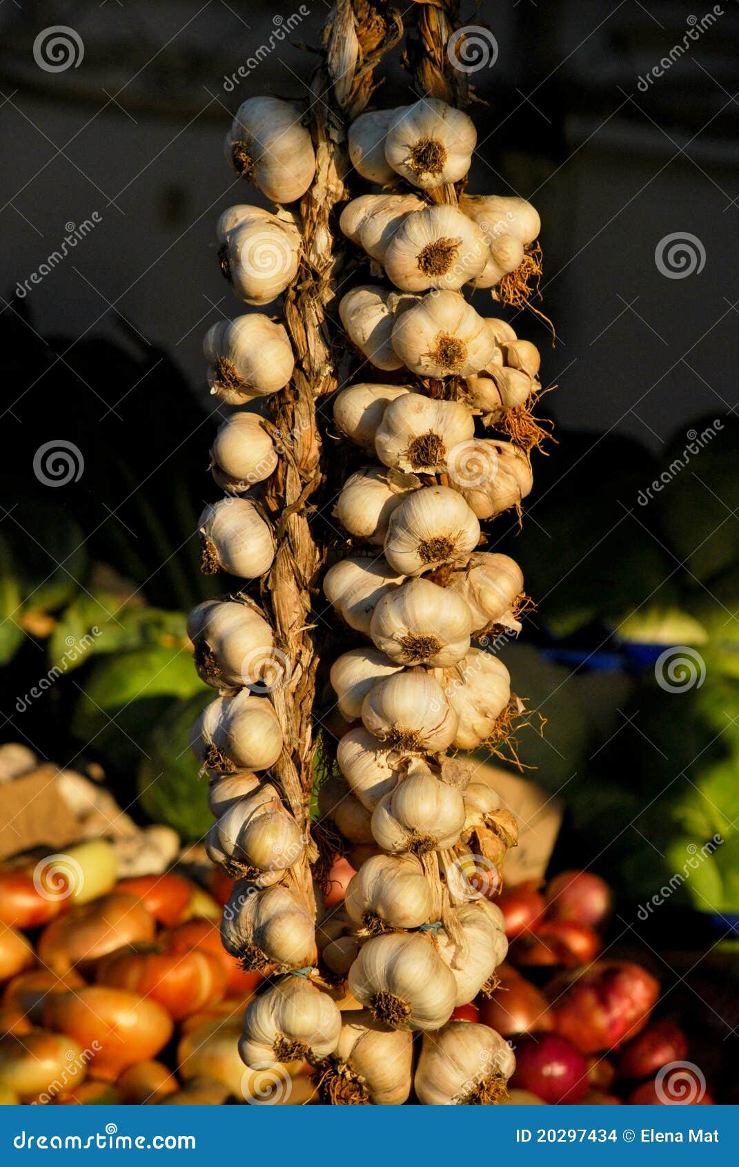 Hanging garlic stock photo. Image of tourism, vegetarian - 20297434